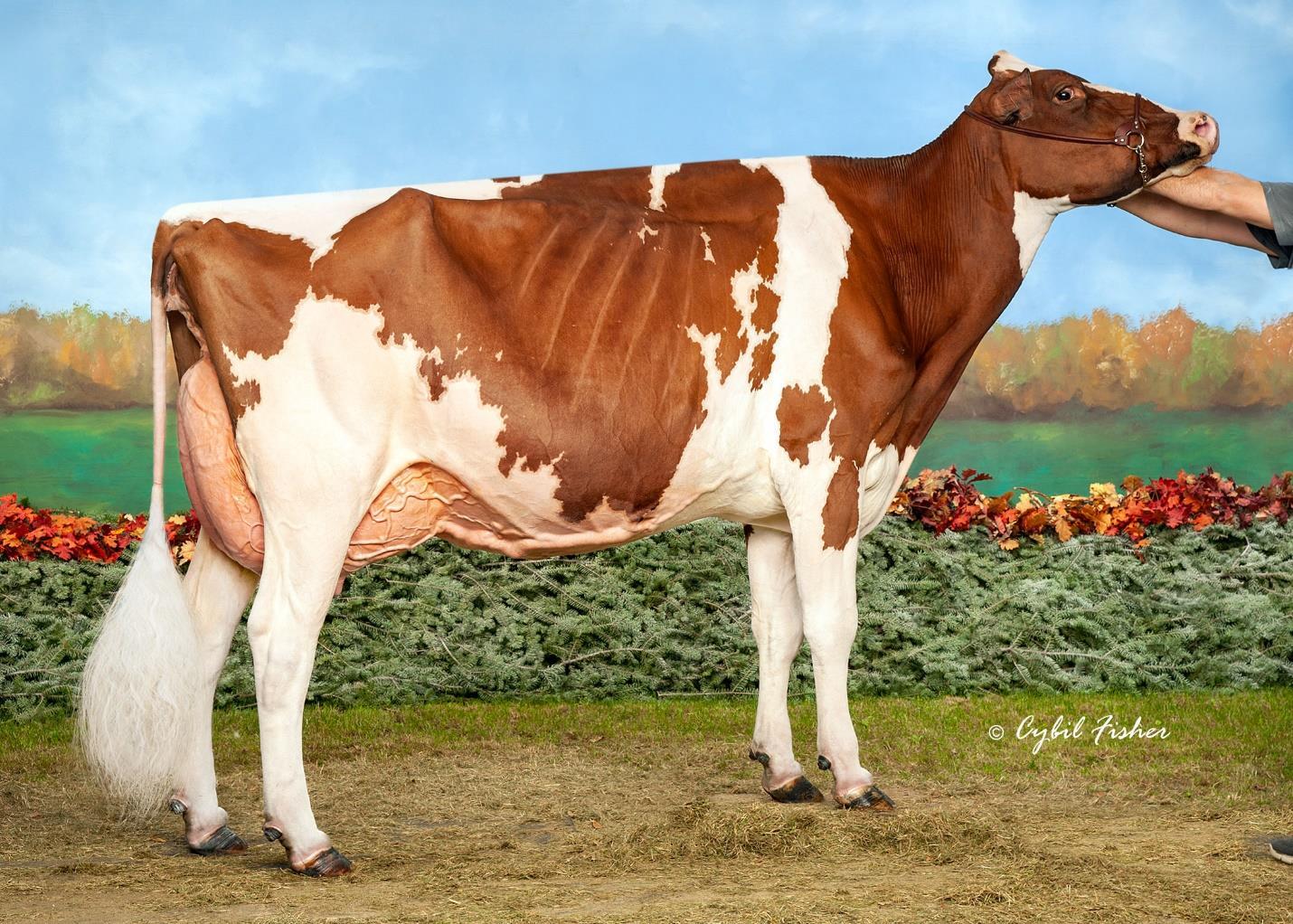 Excellence at Excelerant by Hannahkora1 - Issuu