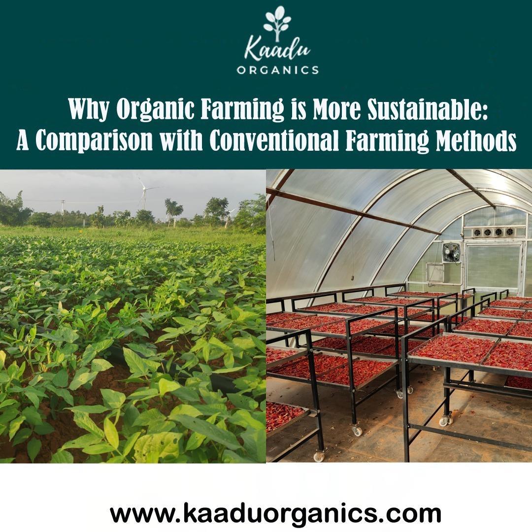 Organic Farming Vs Conventional Farming