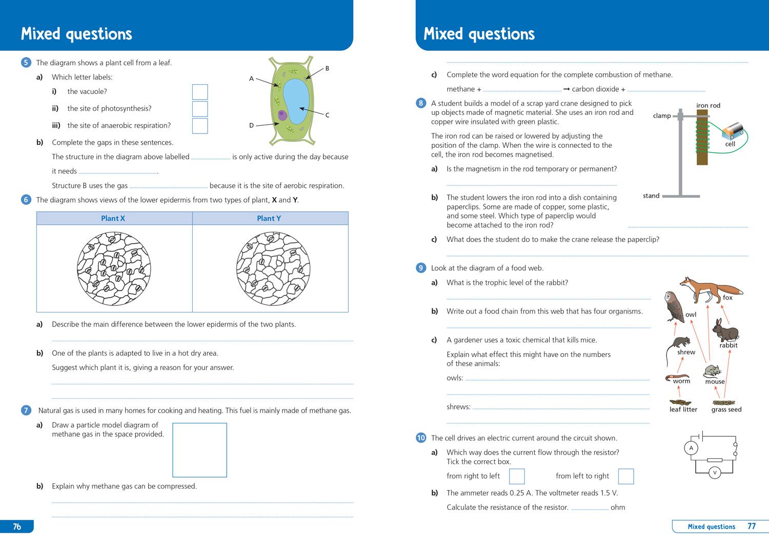 KS3 Science Organise and Retrieve your Knowledge Year 8 by Collins - Issuu