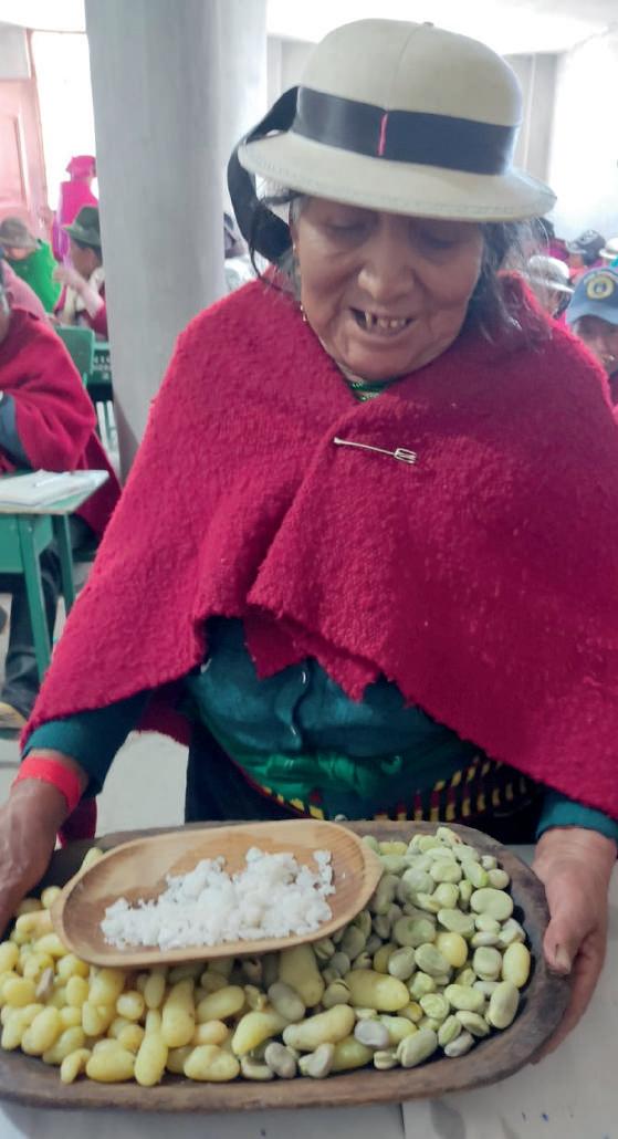 INTRODUCCIÓN - Issuu