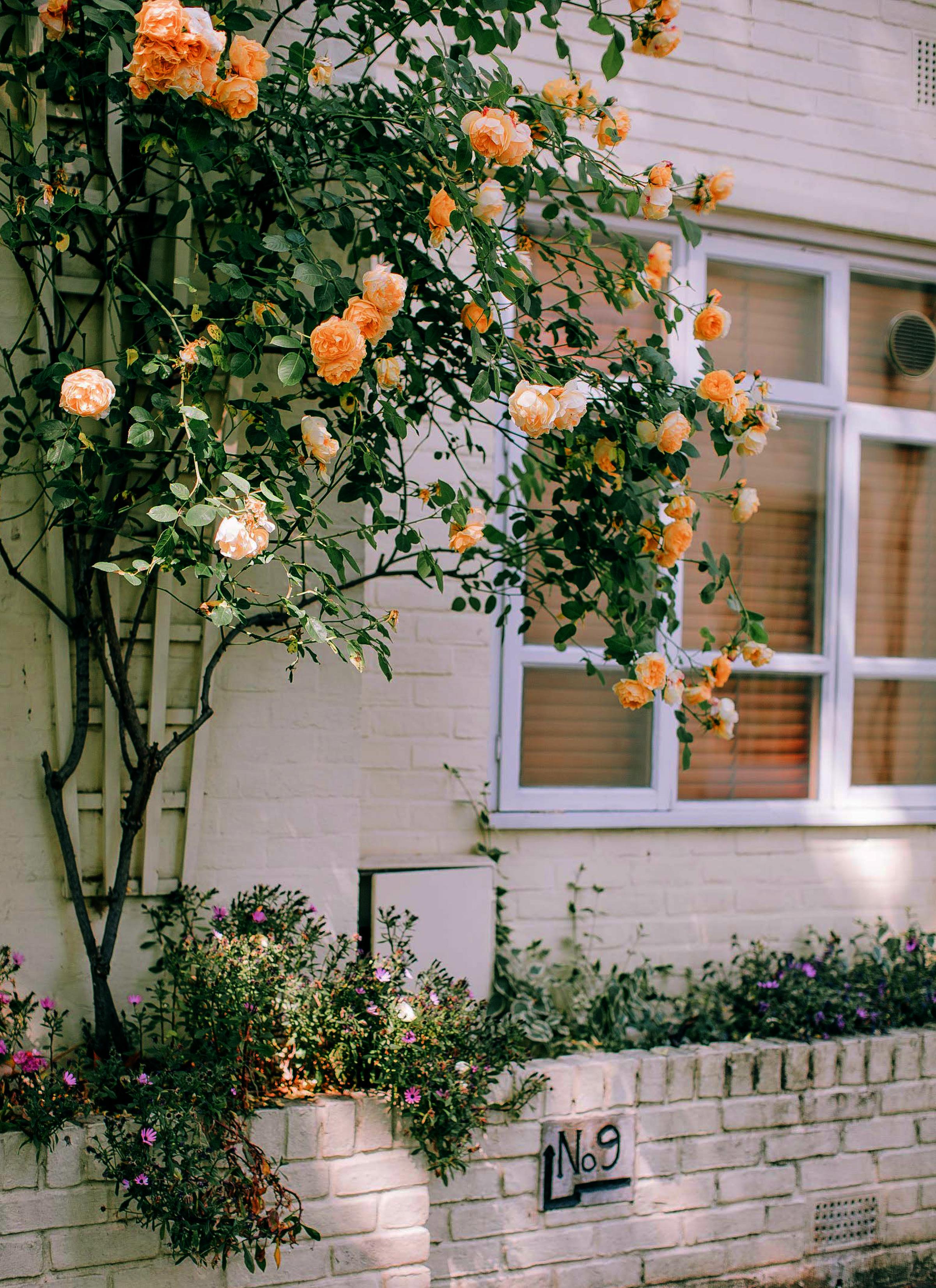 Zine- Rubi Sanchez by rubys8319 - Issuu