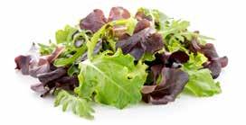 Sysco Produce Catalogue by Sysco Canada - Issuu