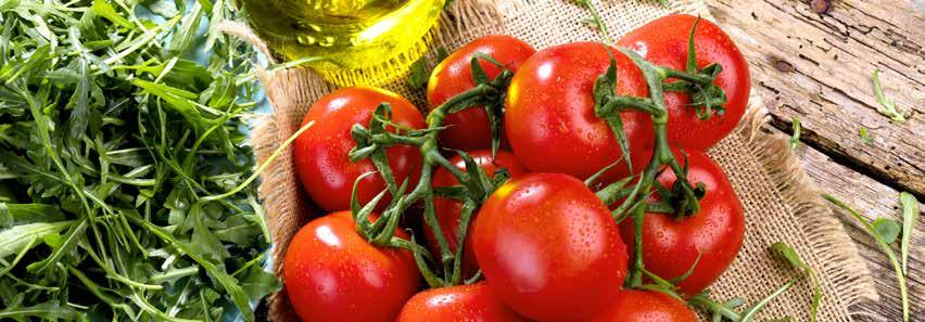Sysco Produce Catalogue by Sysco Canada - Issuu