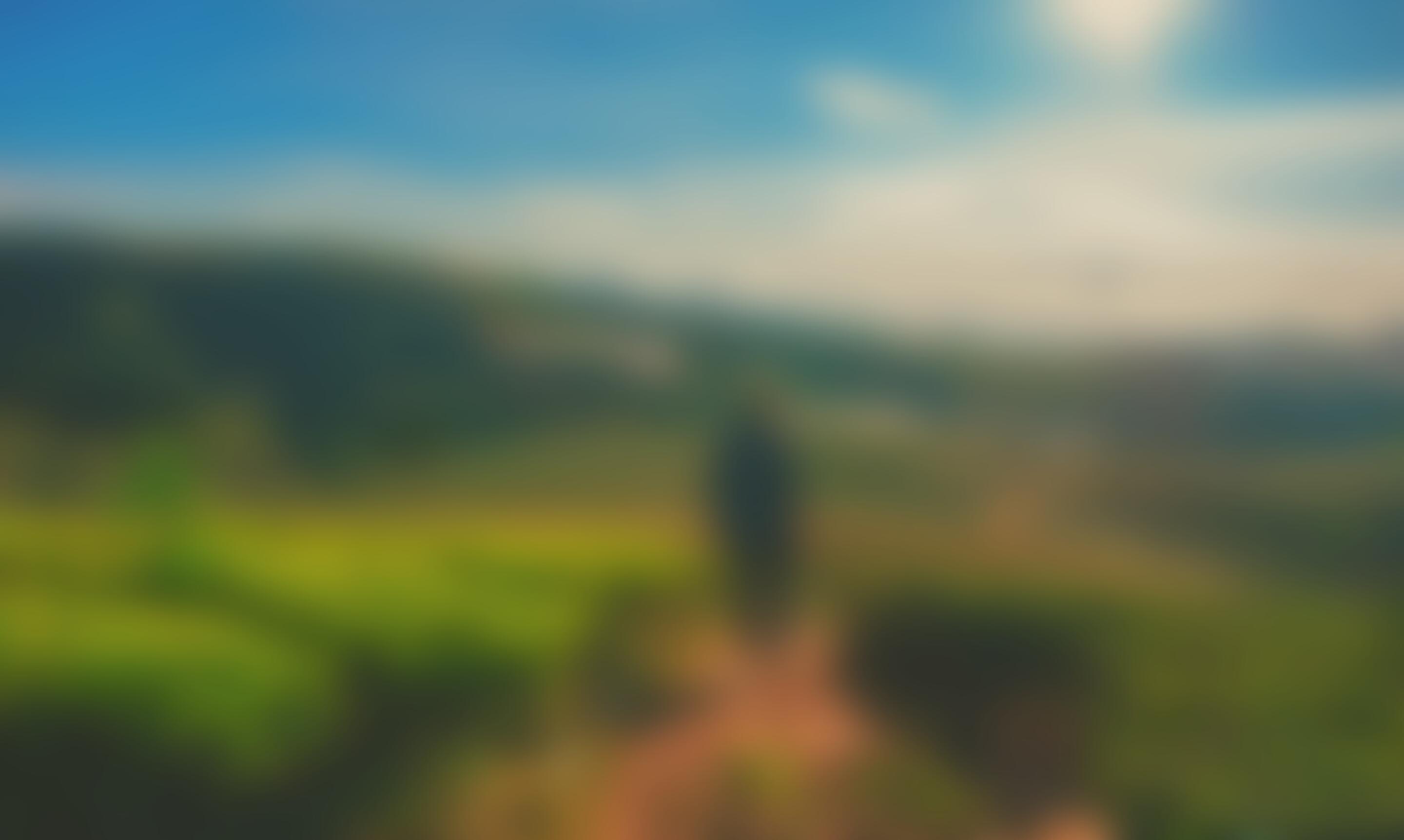 Hay Day and Creativity: How the Game Can Inspire and Foster Creative ...