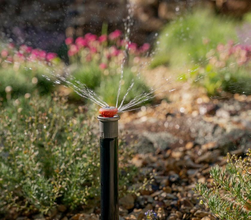 Demystifying COLORADO’S NEW TURF REPLACEMENT PROGRAM - Issuu