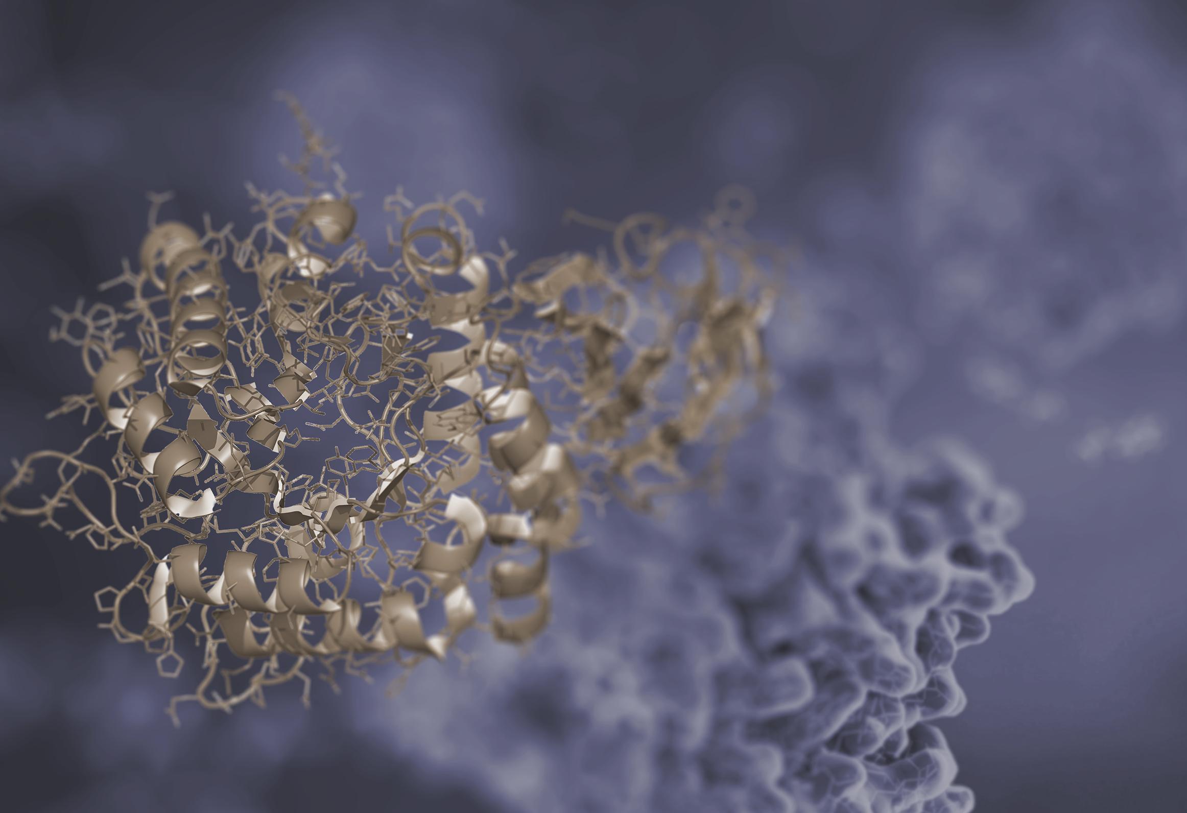 Tabla nutriNews Enzimas 2022 by agriNews - Issuu