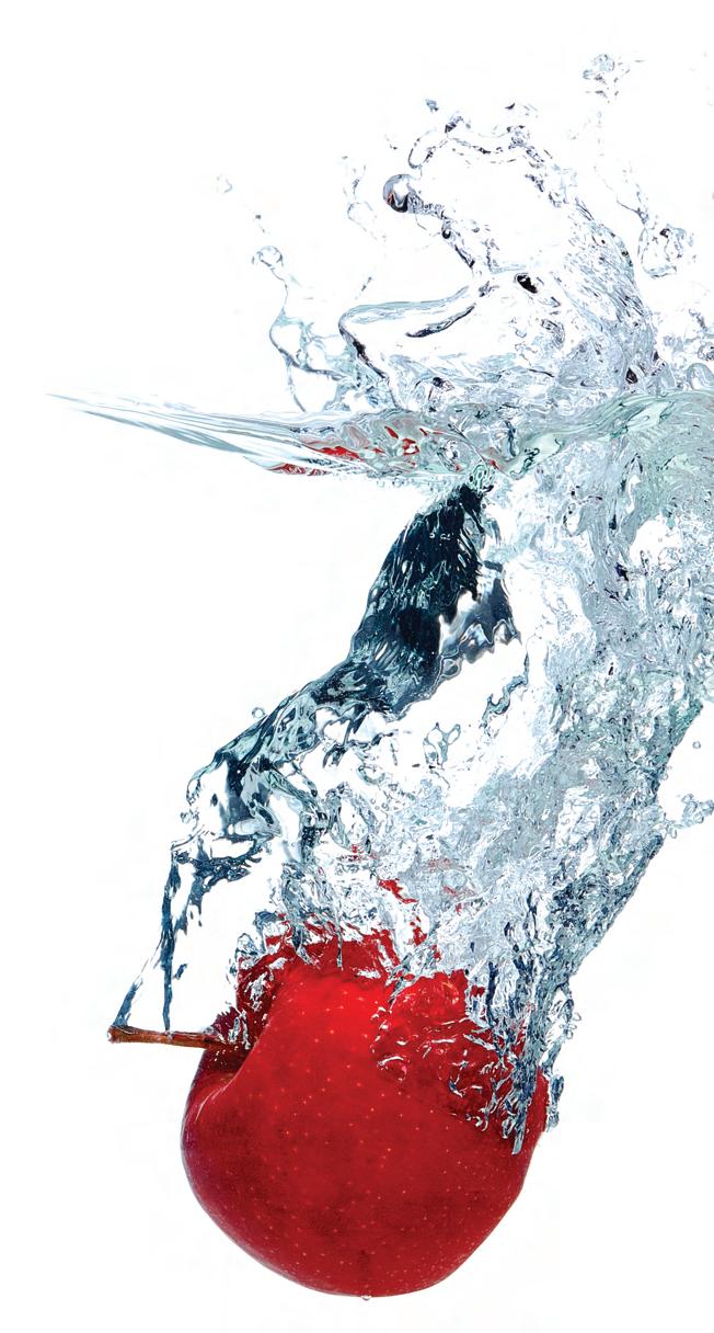 Fruits & Vegetables Processing Line by IDEF - Issuu