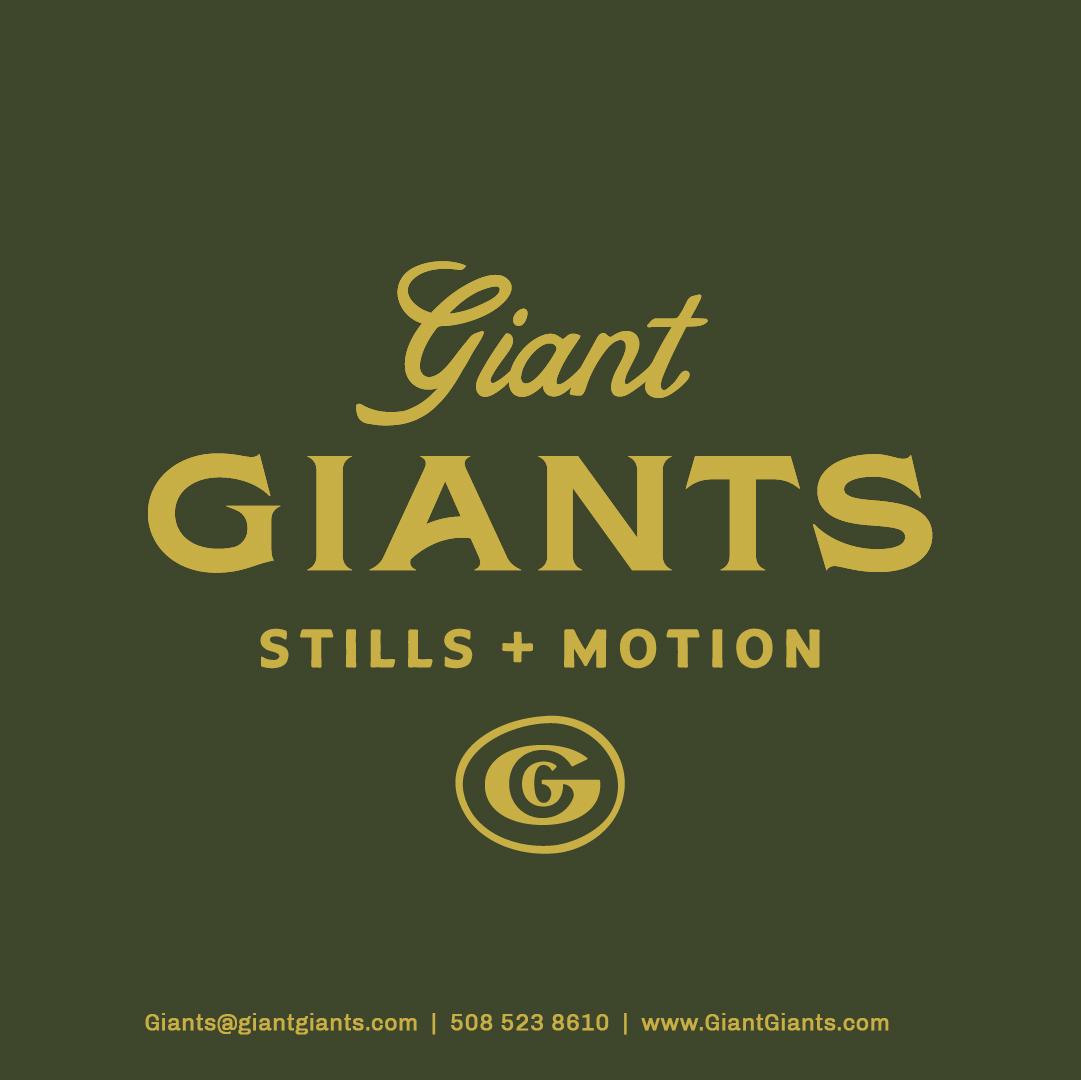 Giant Giants | Personal Project | New England Swimmin' Holes by ...