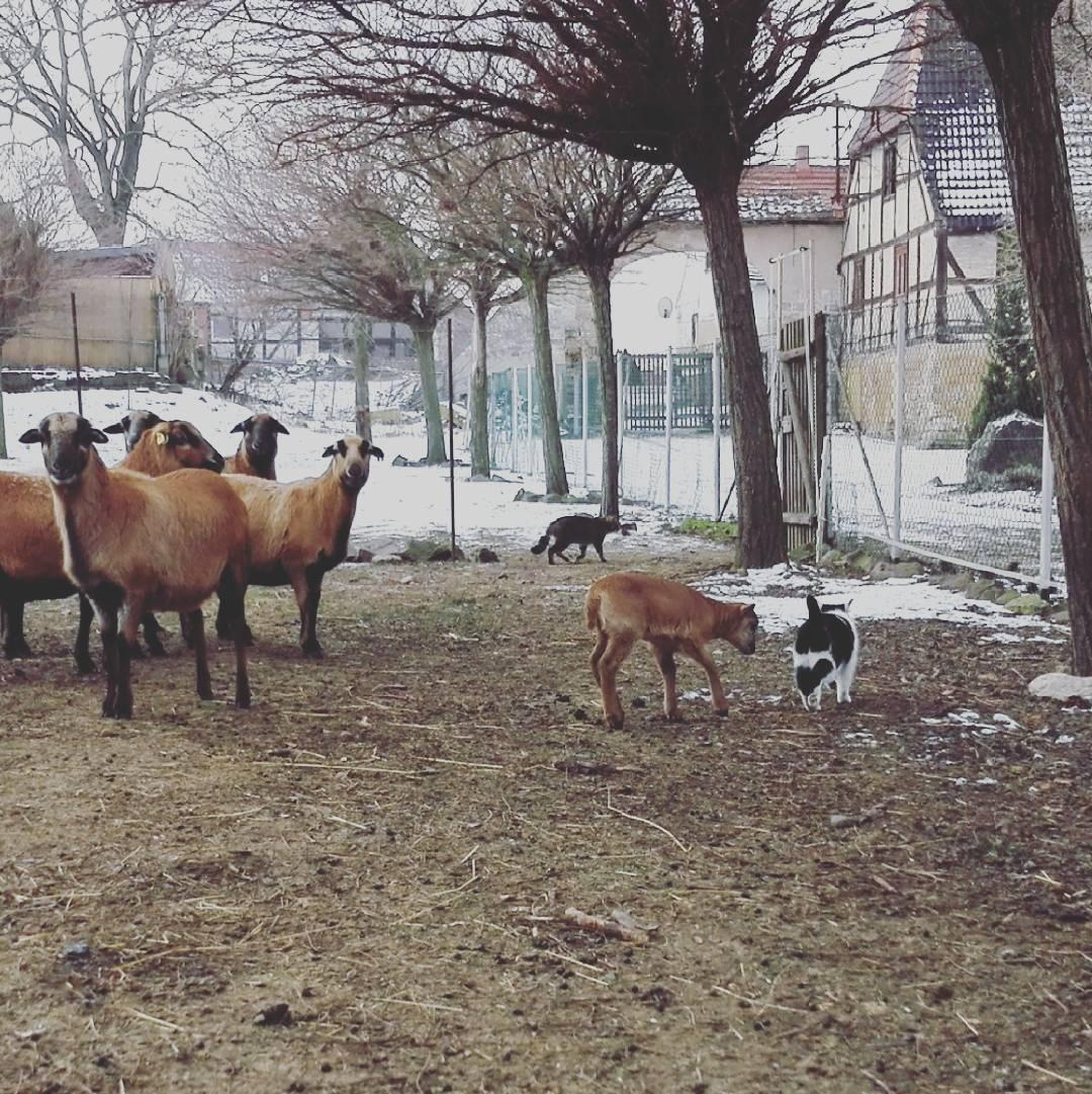 HOF & LAND GESCHICHTEN - Hof Froser Domäne by Geliebter Norden - Issuu