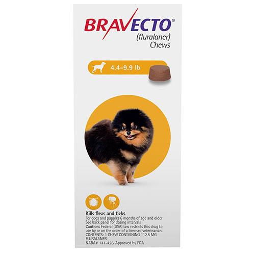Simparica TRIO vs. Bravecto Chews – Which one is better for Your Dog ...