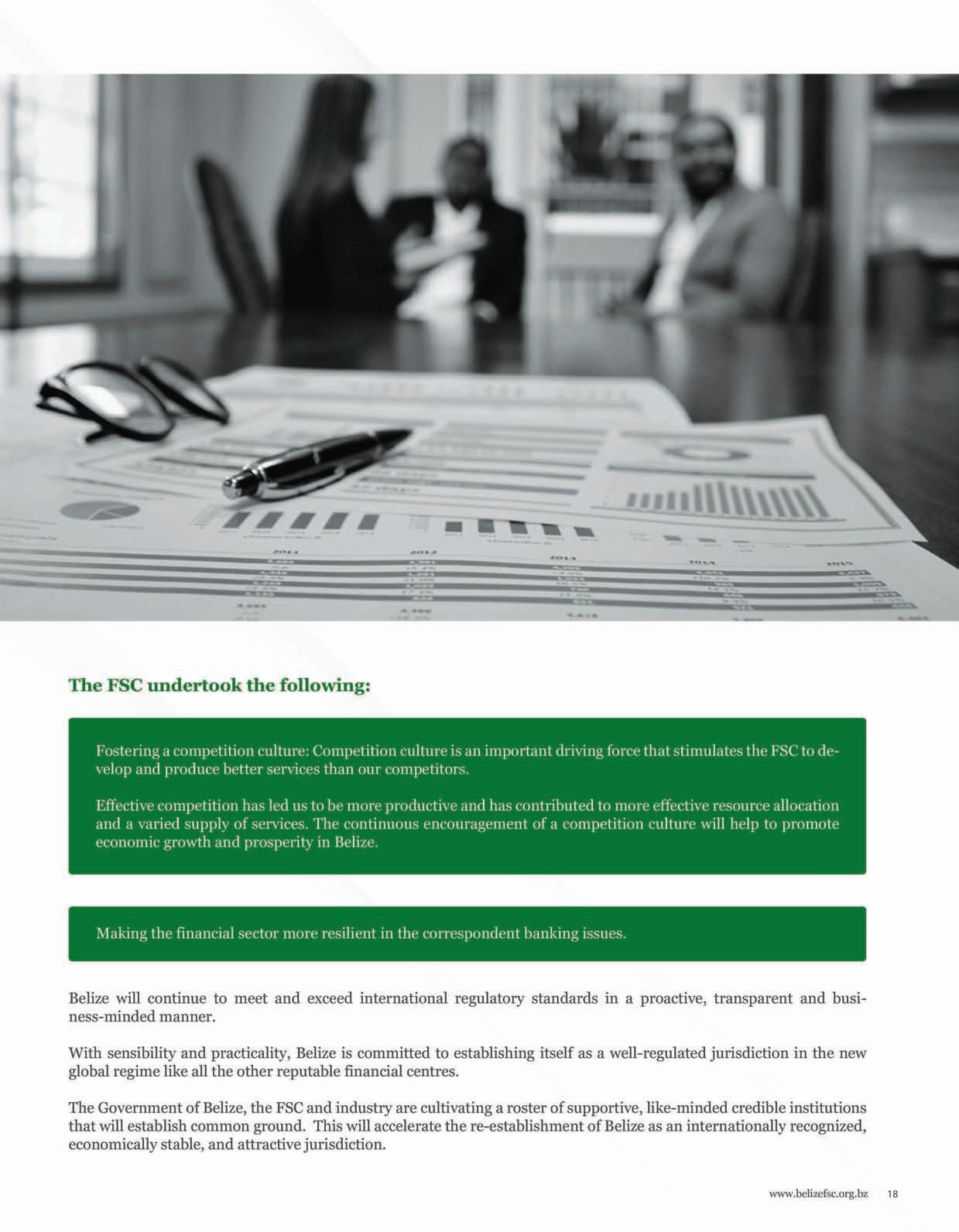 FSC Annual Report by Loskot Studios - Issuu