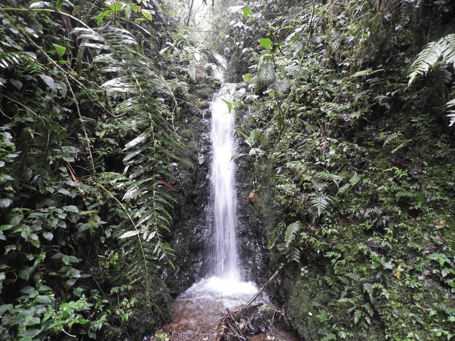 El Carmen de Atrato, paraíso natural, cuna del Río Atrato. by Minera El ...