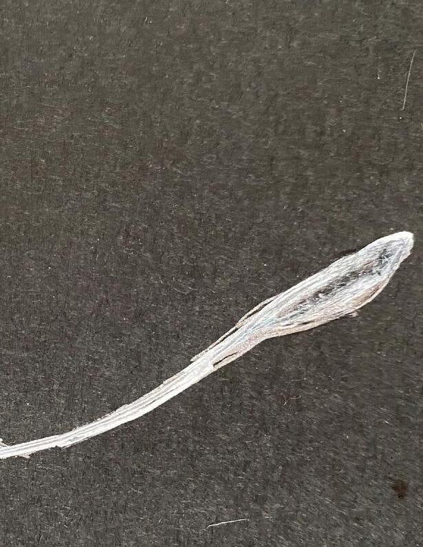 Make a wish... by Retha - Issuu