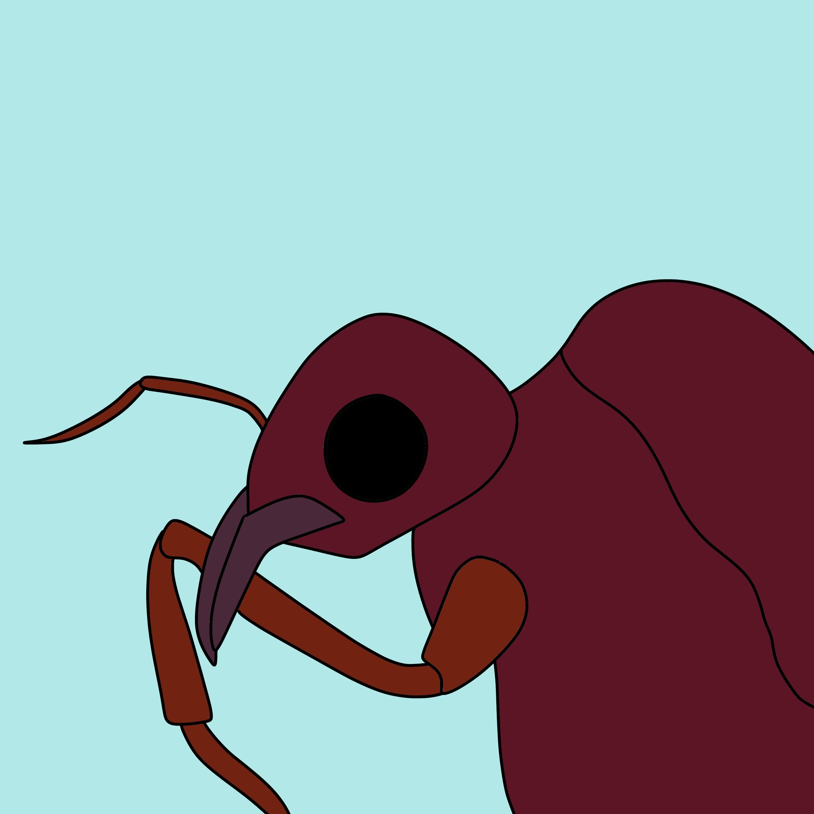 Zompopos de mayo by DASLEEN SCARLET ANAITE CONTRERAS PEREIRA - Issuu