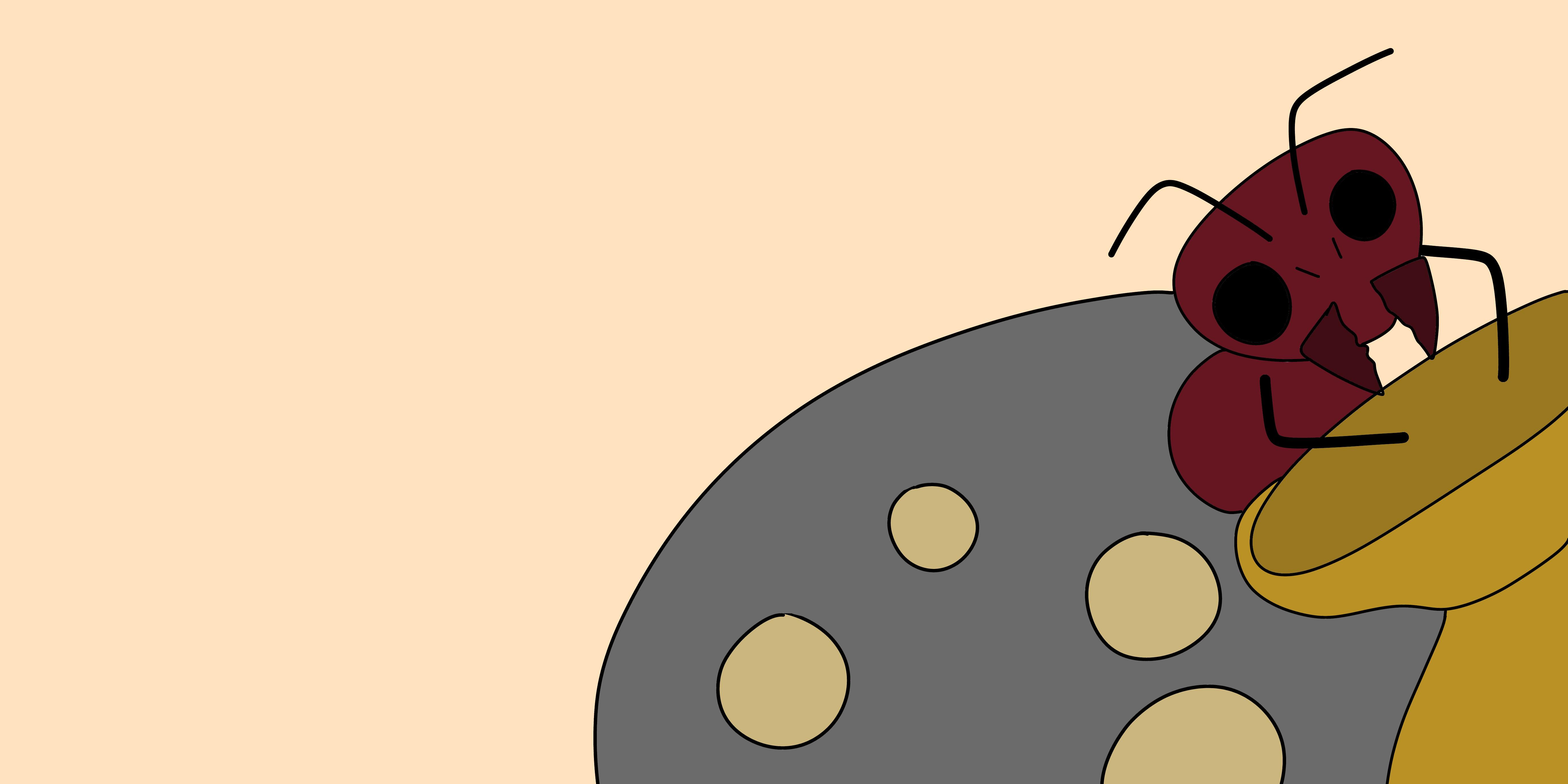 Zompopos de mayo by DASLEEN SCARLET ANAITE CONTRERAS PEREIRA - Issuu