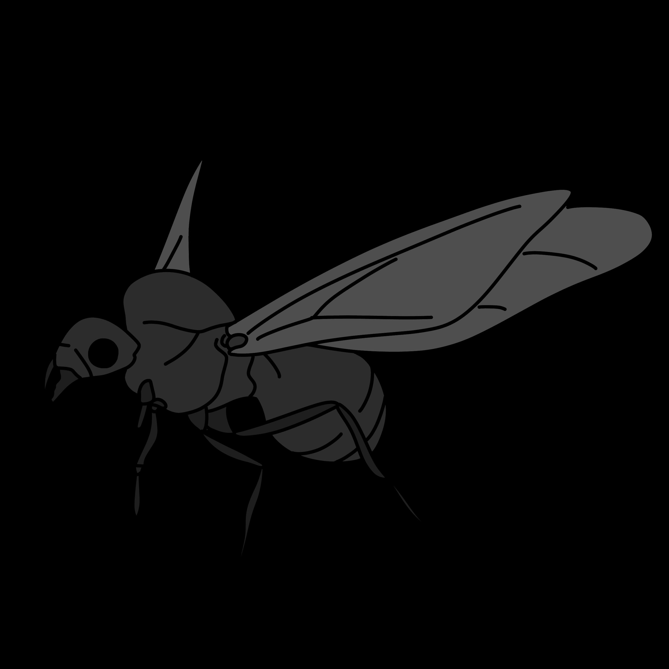 Zompopos de mayo by DASLEEN SCARLET ANAITE CONTRERAS PEREIRA - Issuu