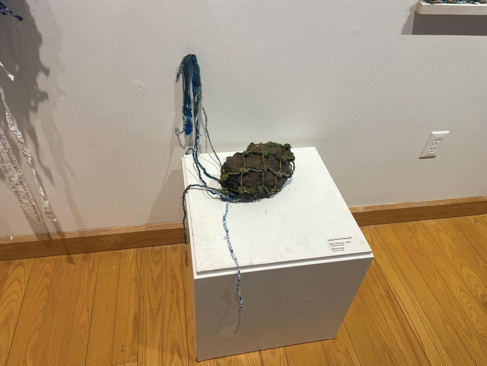 Portfolio 2023 by Daisy Pacheco - Issuu