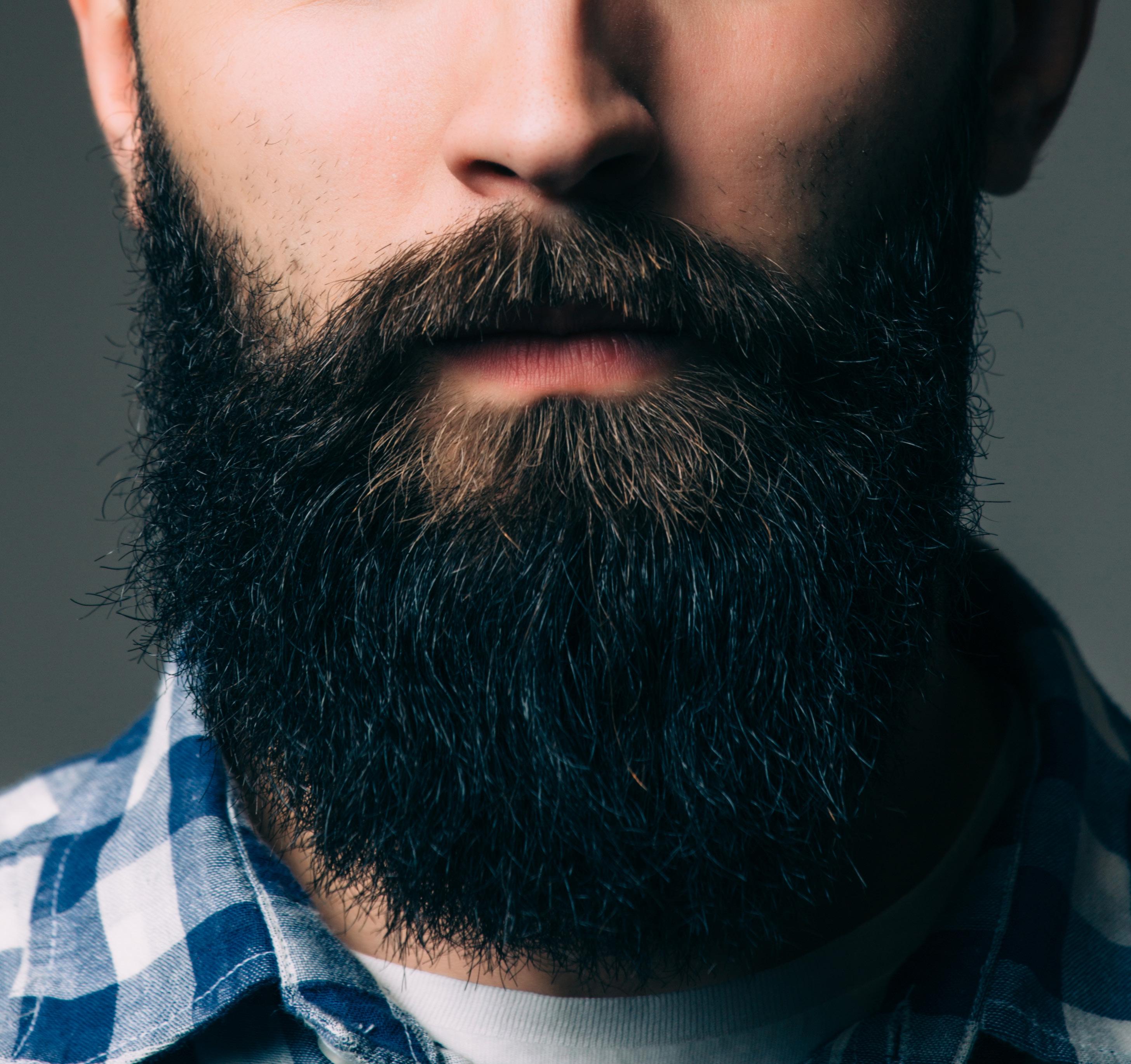 YHH Fundraising Brochure & Annual Report by Dorinda Geans-Jay - Issuu