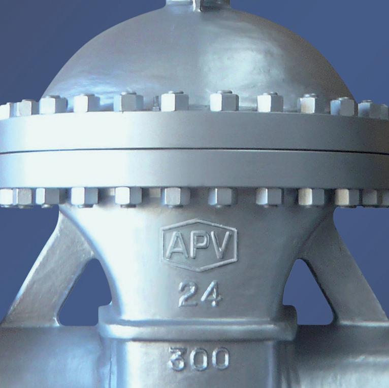 APV Check Forged IOM by Australian Valve Centre - Issuu