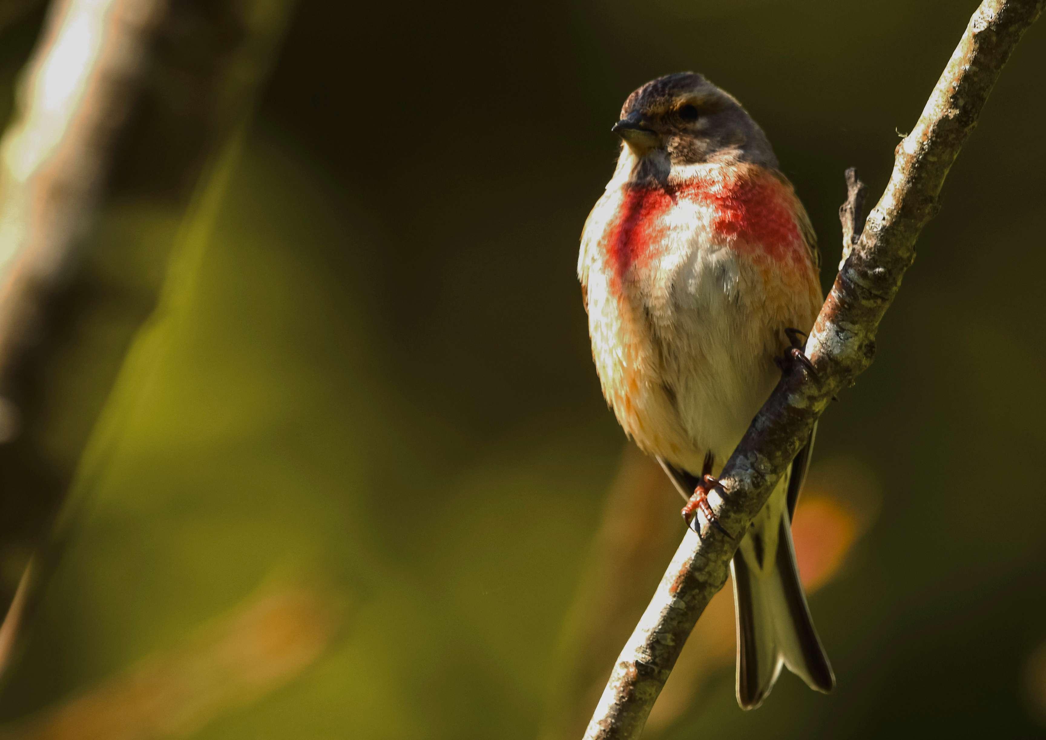 KEEP THE PRESENT, PROTECT THE FUTURE by multimedia aevo - Issuu