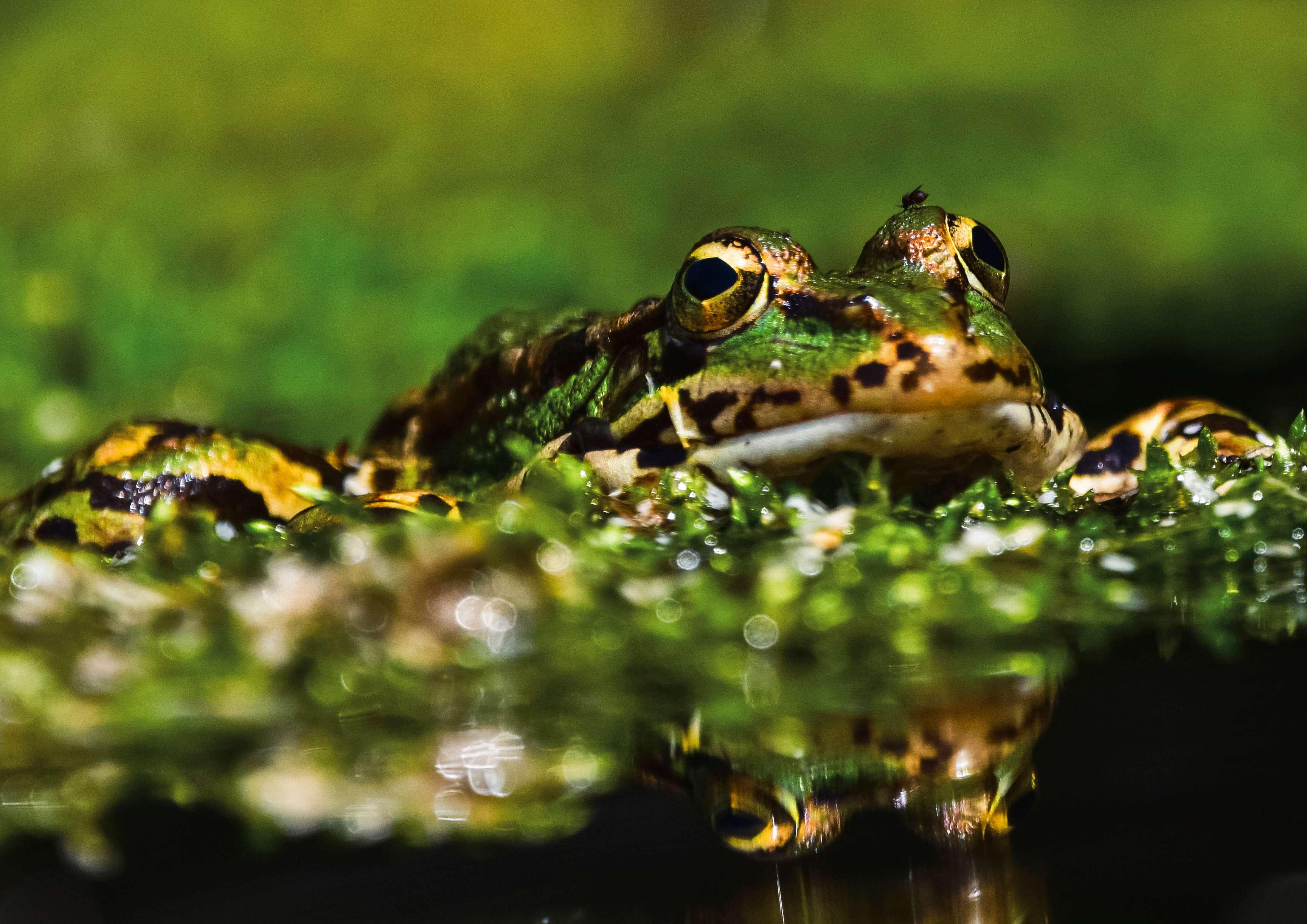 KEEP THE PRESENT, PROTECT THE FUTURE by multimedia aevo - Issuu