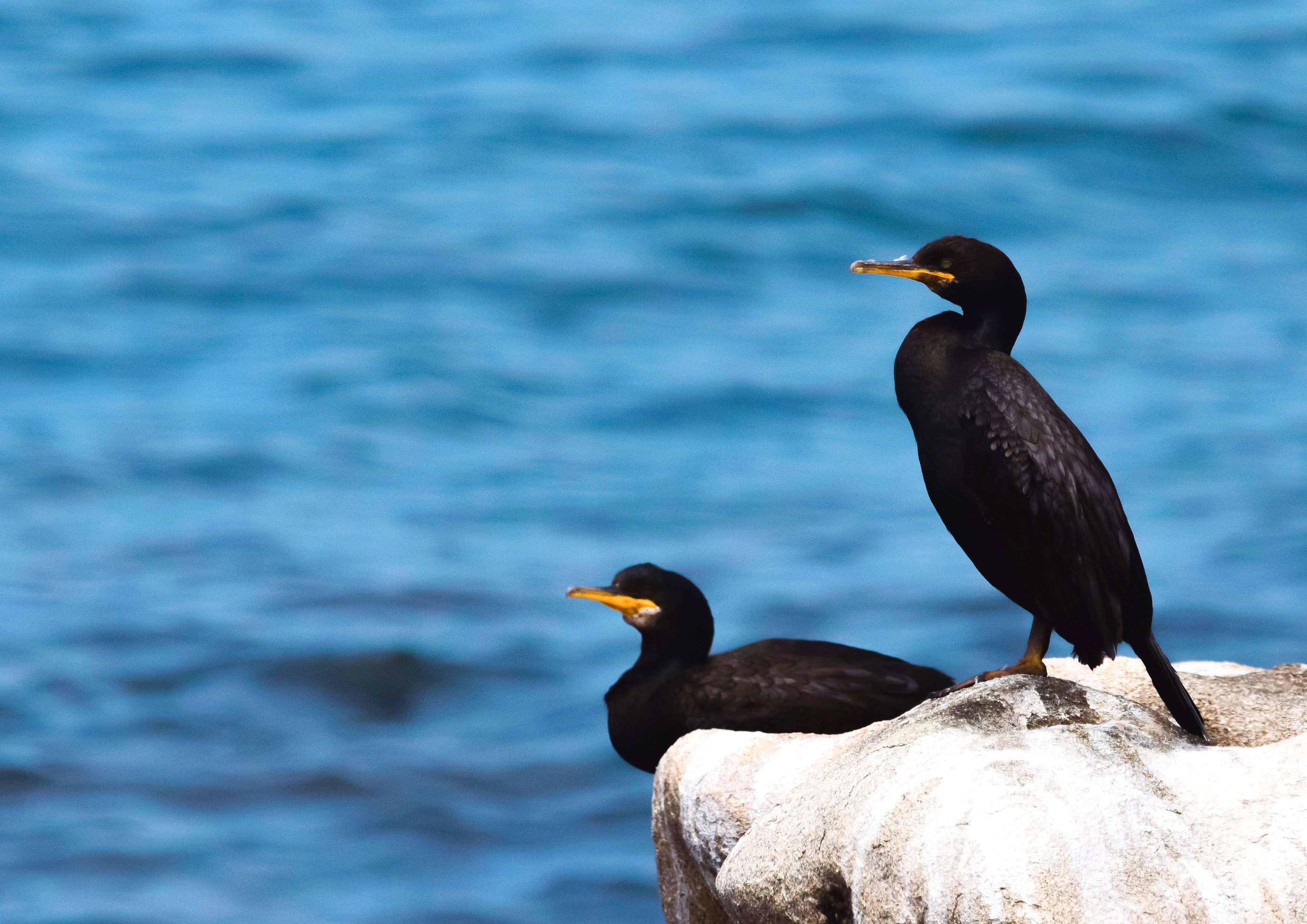 KEEP THE PRESENT, PROTECT THE FUTURE by multimedia aevo - Issuu