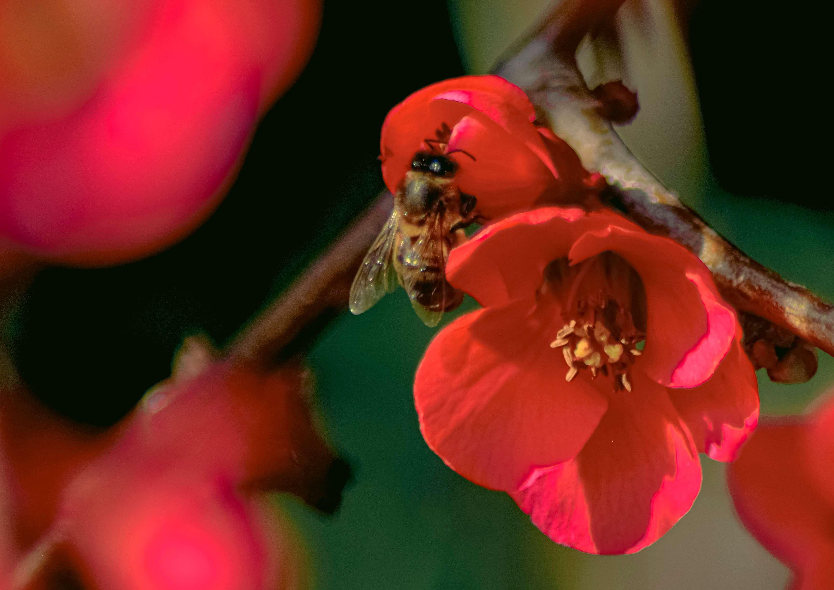 KEEP THE PRESENT, PROTECT THE FUTURE by multimedia aevo - Issuu