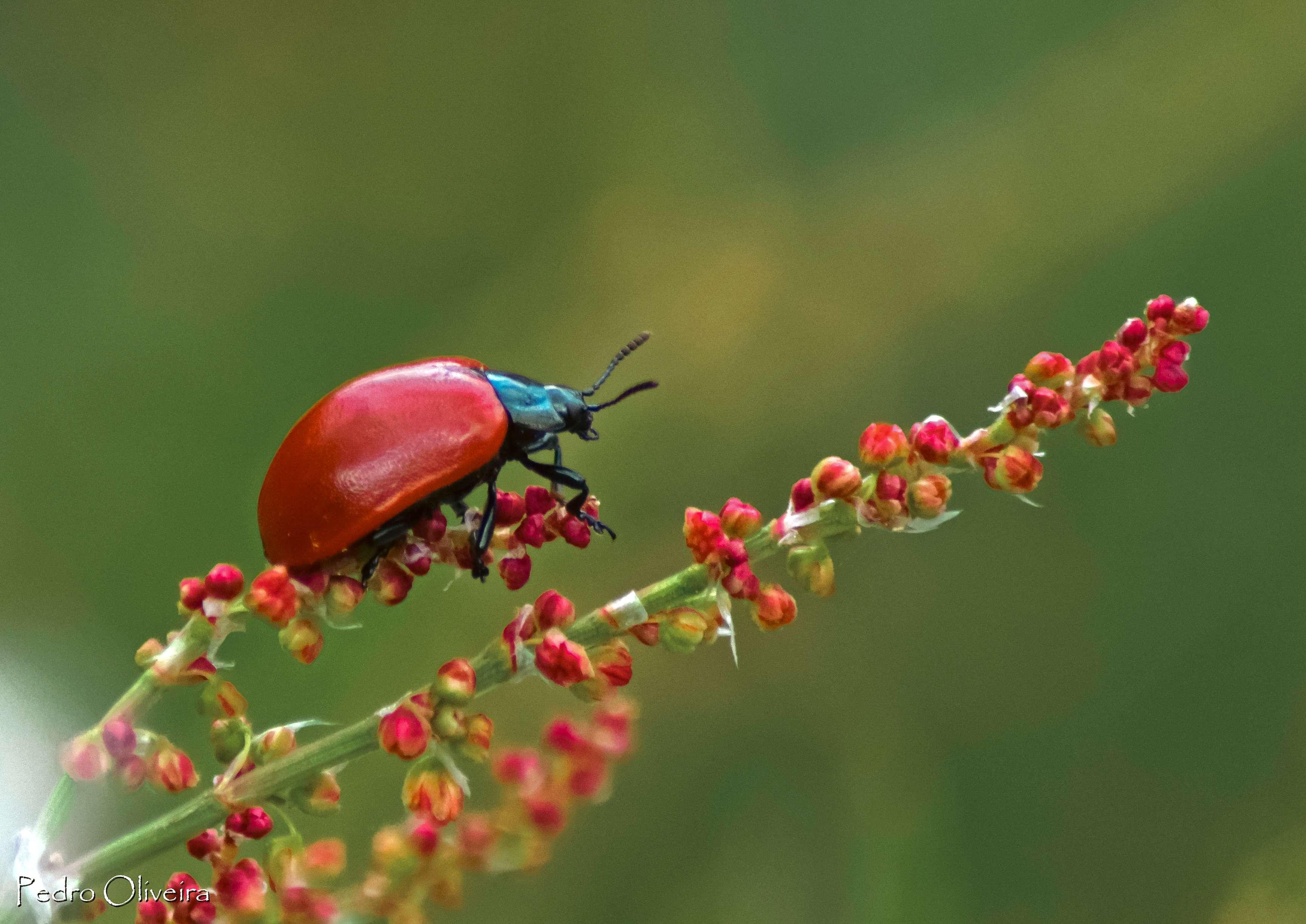 KEEP THE PRESENT, PROTECT THE FUTURE by multimedia aevo - Issuu