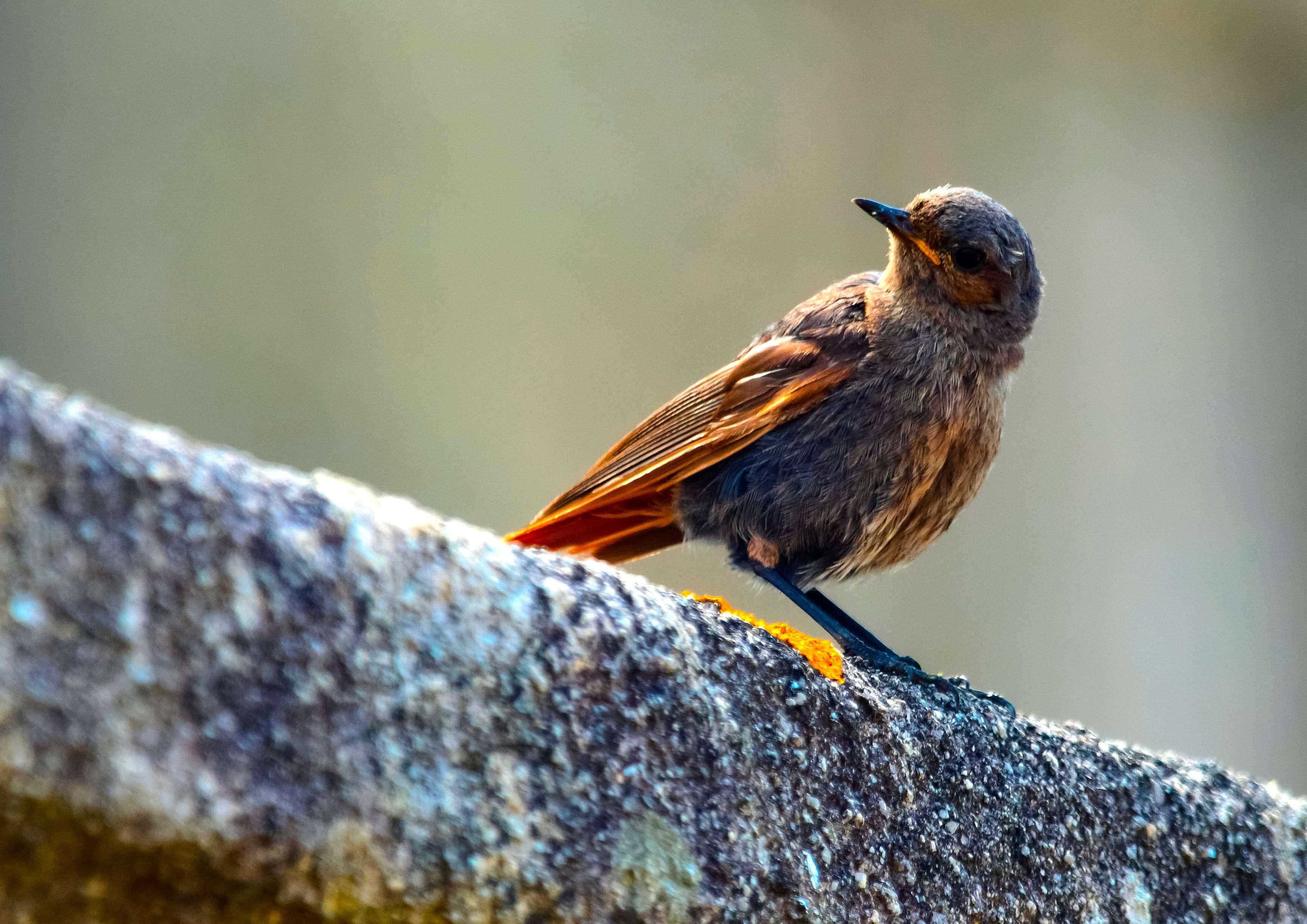 KEEP THE PRESENT, PROTECT THE FUTURE by multimedia aevo - Issuu