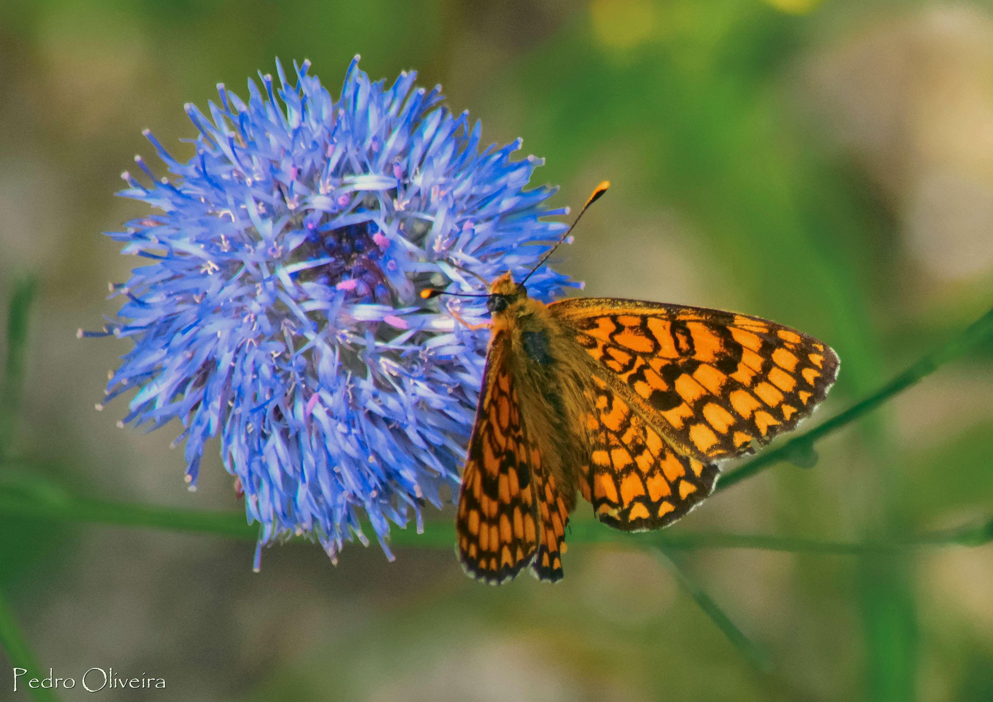 KEEP THE PRESENT, PROTECT THE FUTURE by multimedia aevo - Issuu