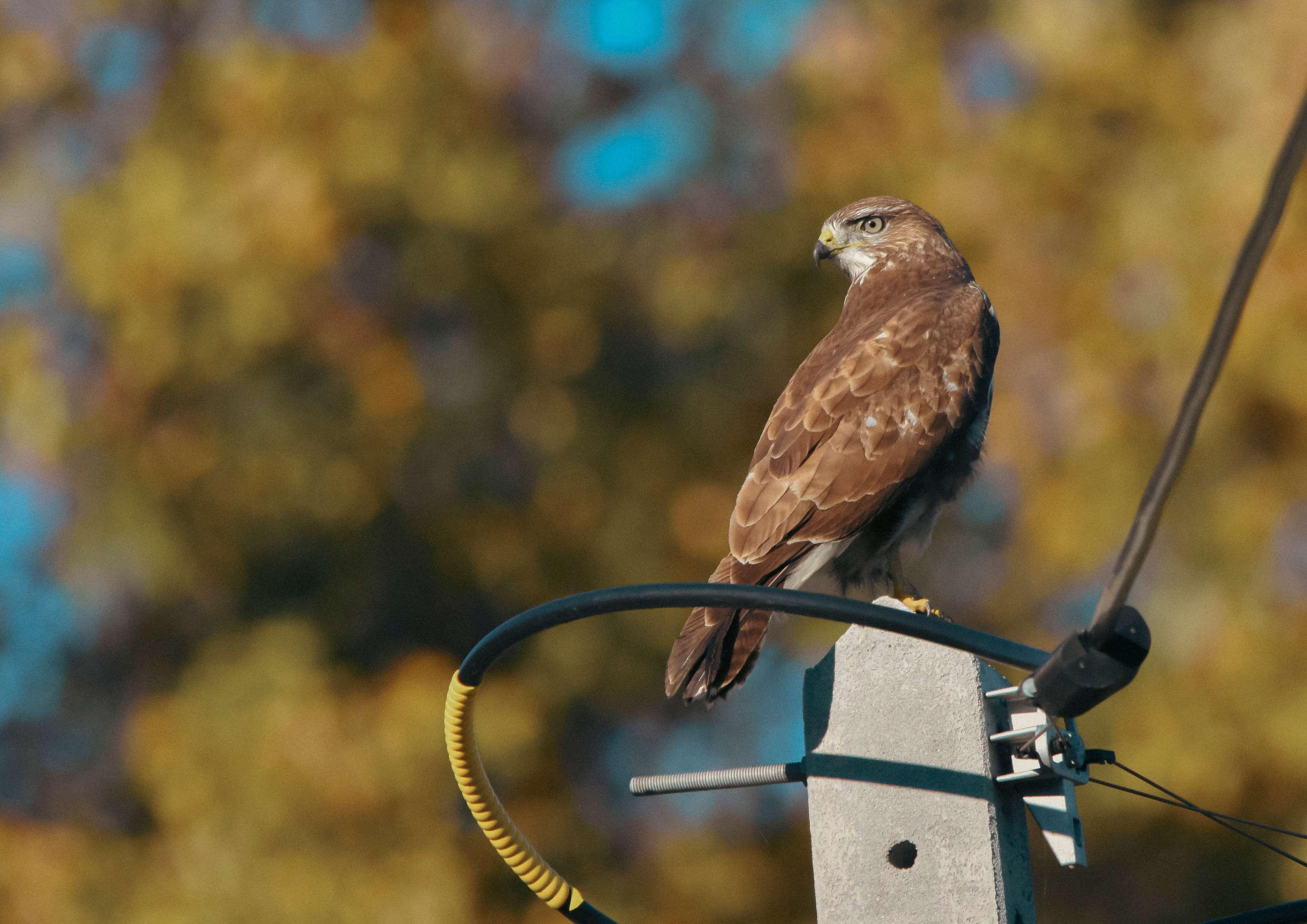 KEEP THE PRESENT, PROTECT THE FUTURE by multimedia aevo - Issuu