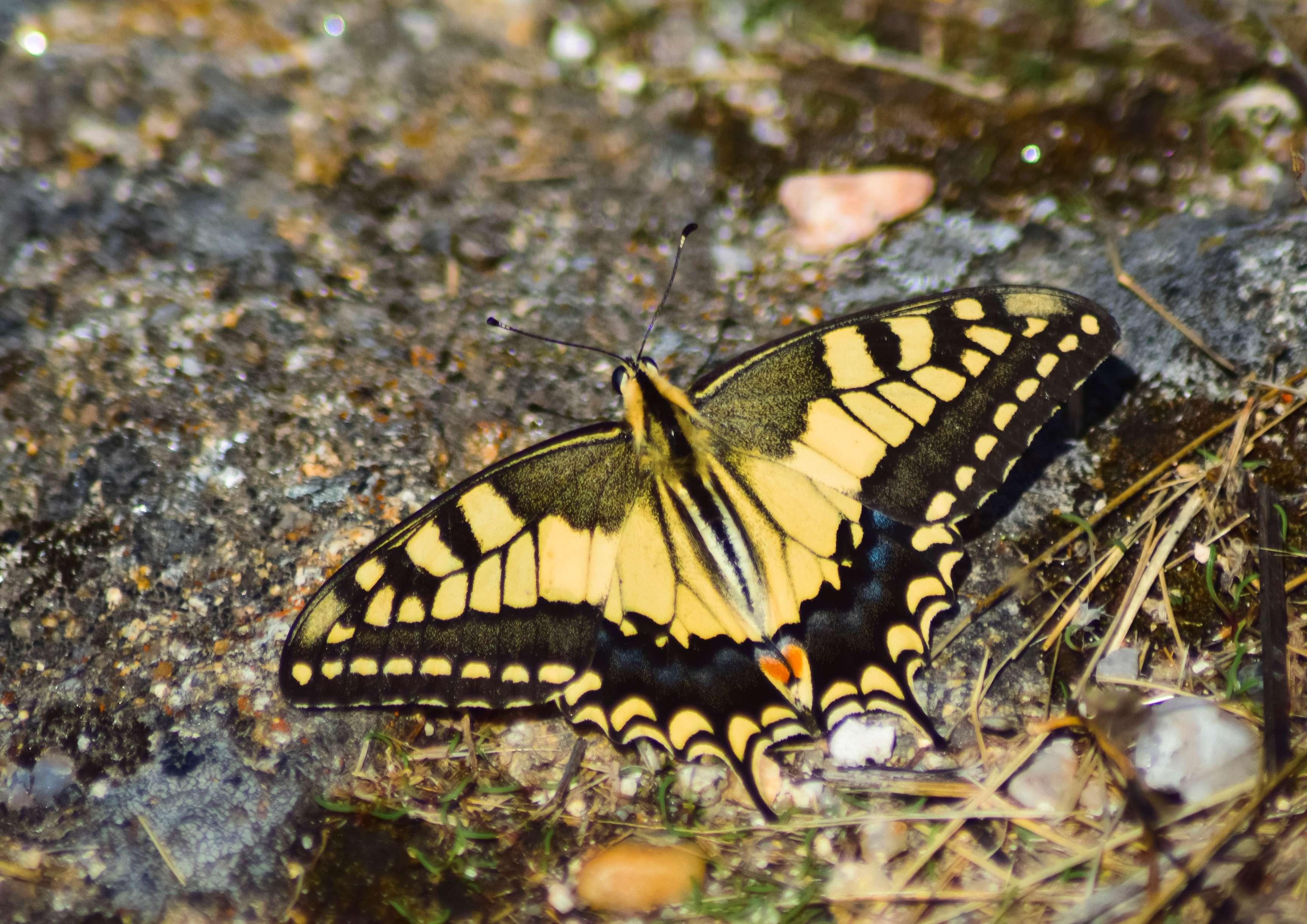 KEEP THE PRESENT, PROTECT THE FUTURE by multimedia aevo - Issuu