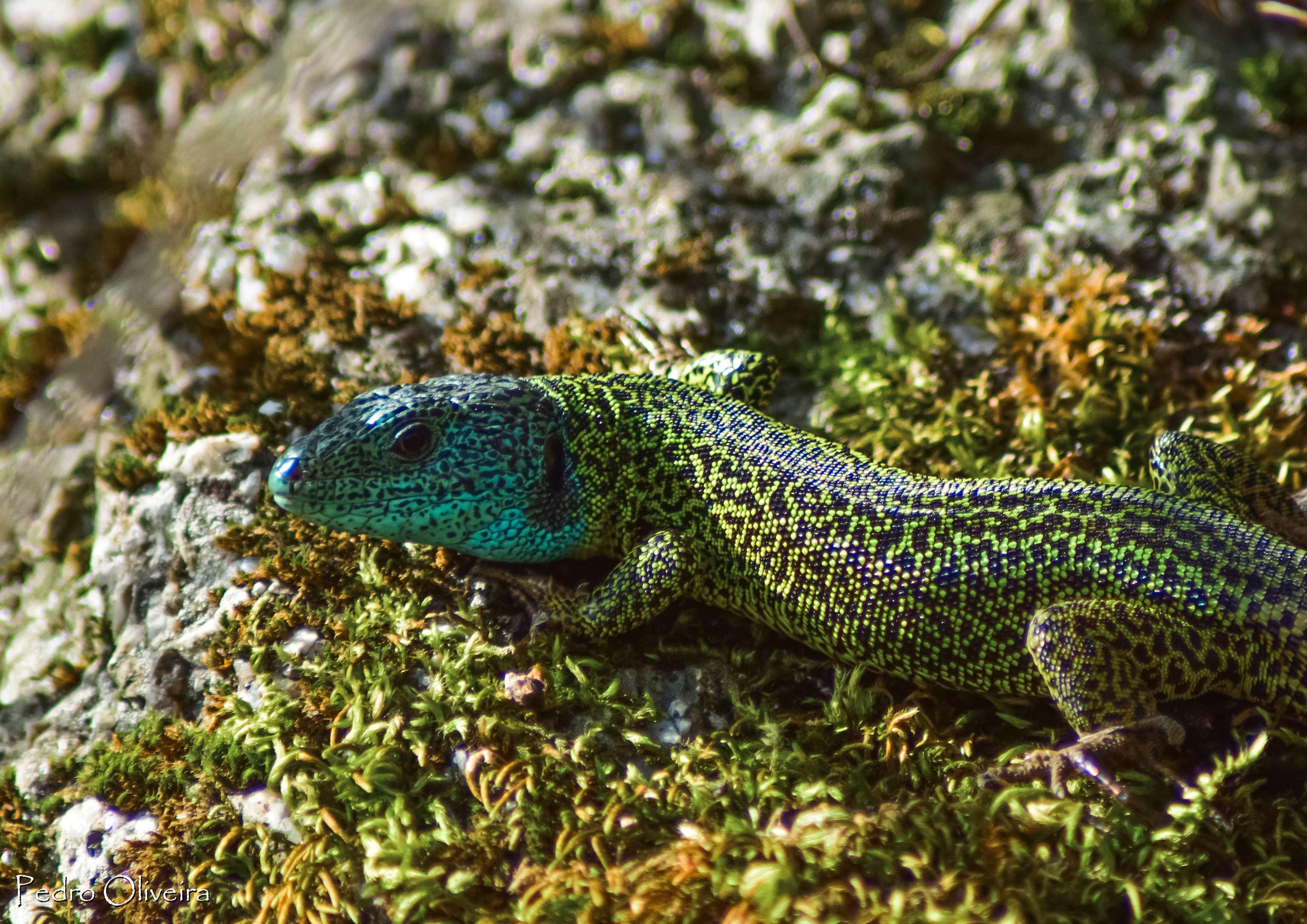 KEEP THE PRESENT, PROTECT THE FUTURE by multimedia aevo - Issuu