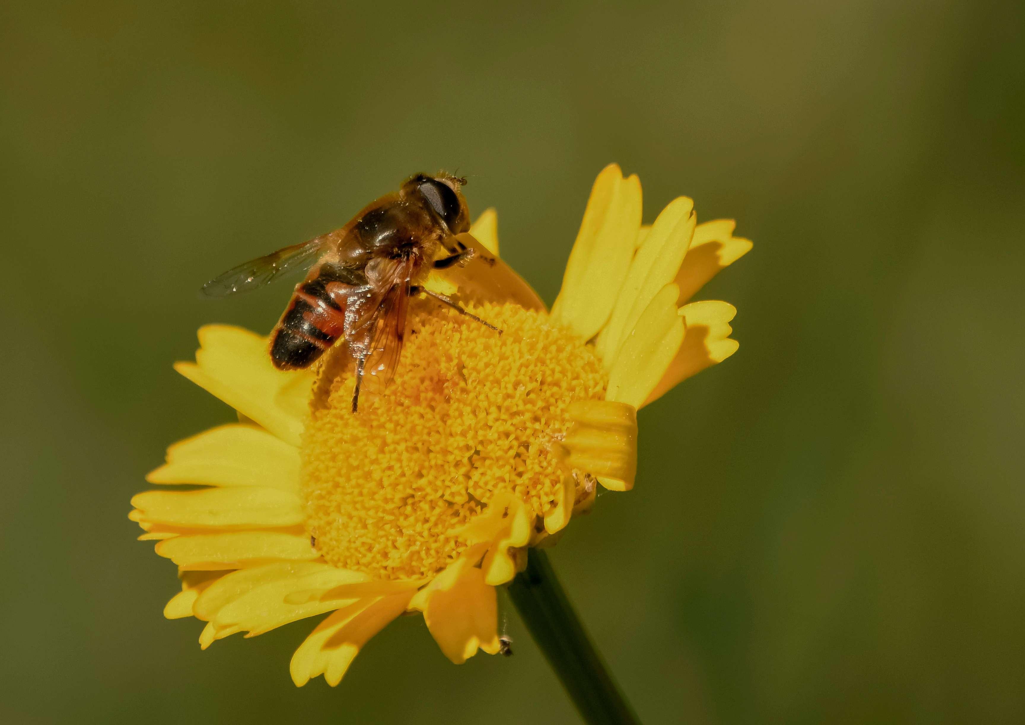 KEEP THE PRESENT, PROTECT THE FUTURE by multimedia aevo - Issuu