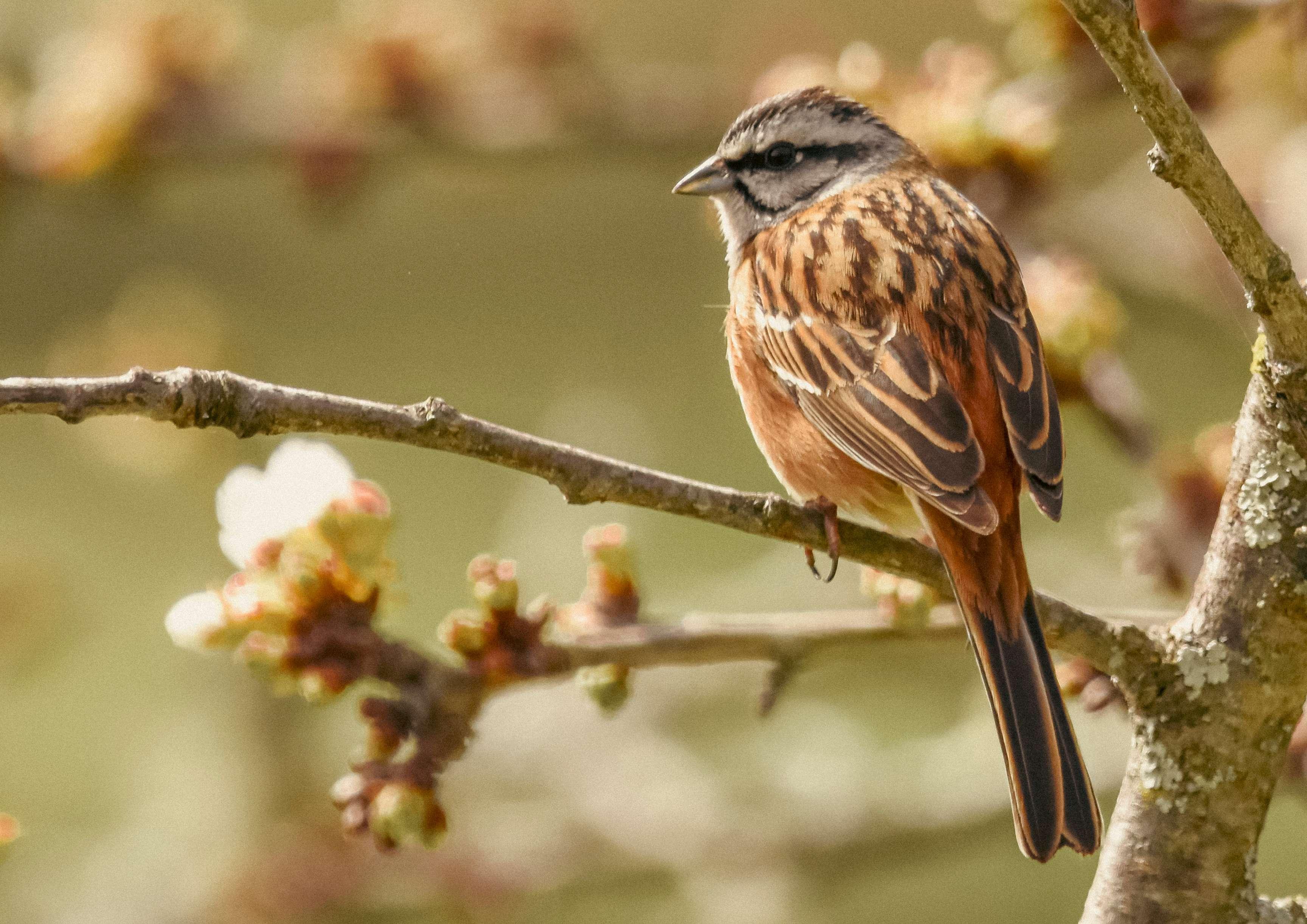 KEEP THE PRESENT, PROTECT THE FUTURE by multimedia aevo - Issuu