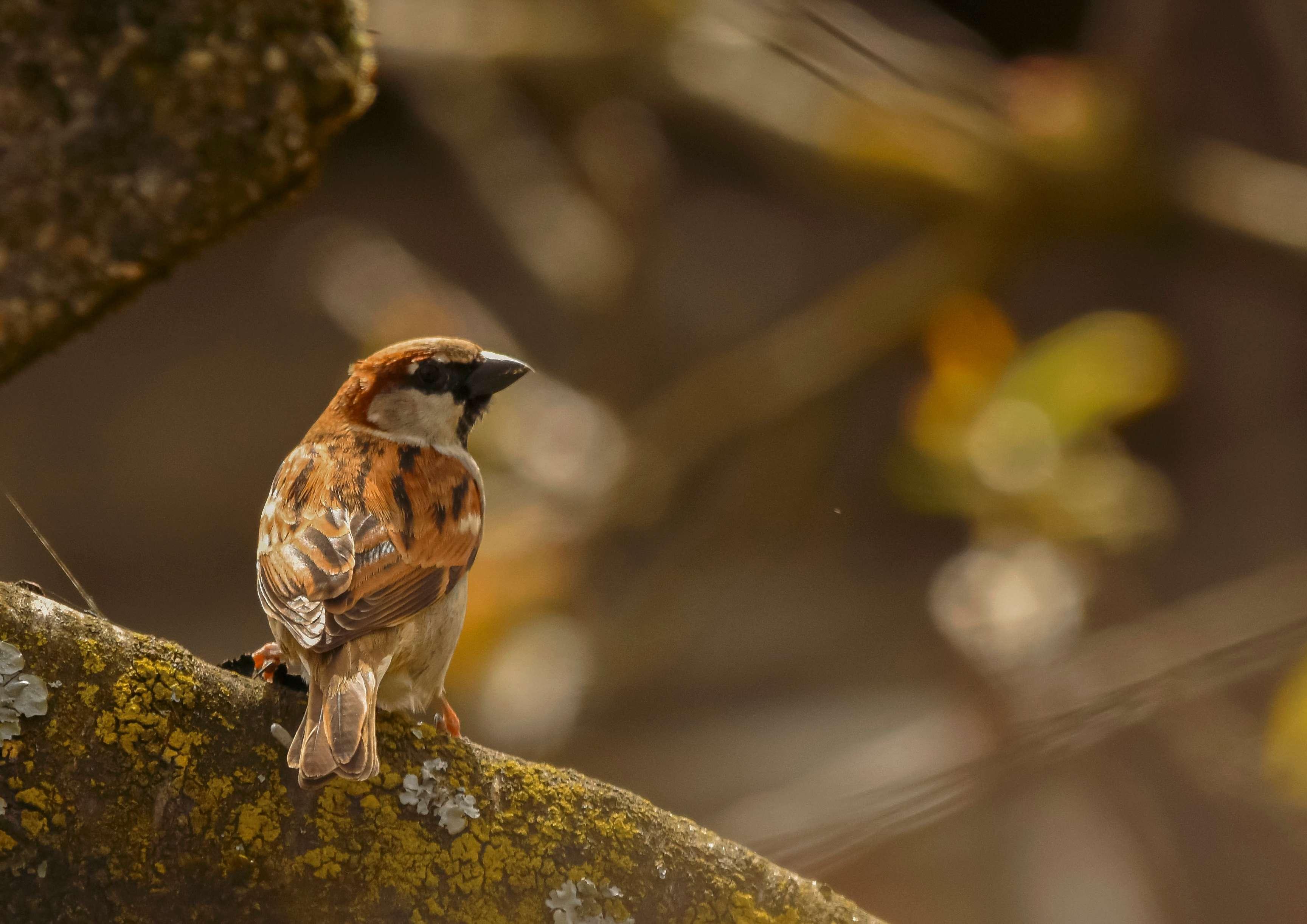 KEEP THE PRESENT, PROTECT THE FUTURE by multimedia aevo - Issuu