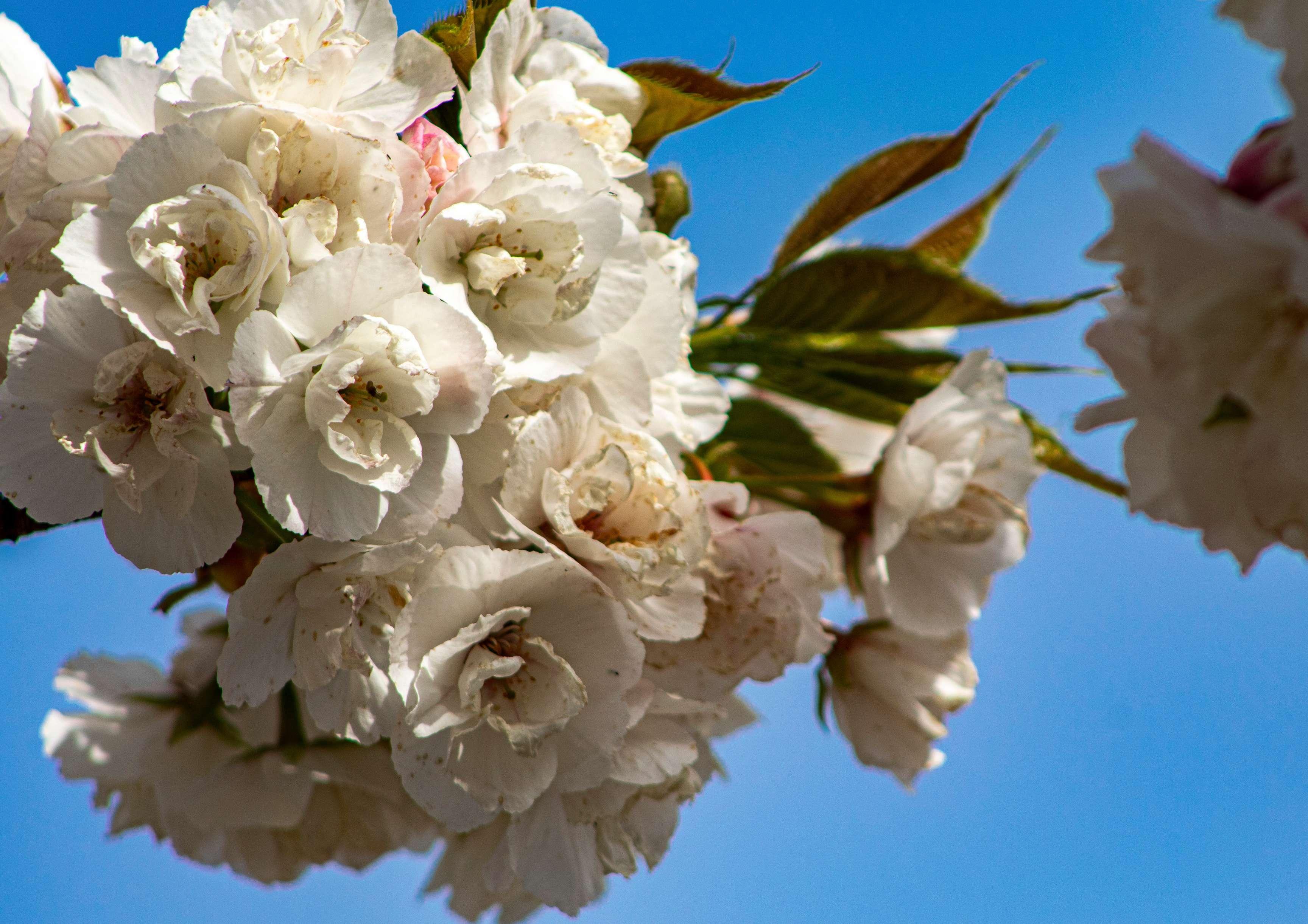 KEEP THE PRESENT, PROTECT THE FUTURE by multimedia aevo - Issuu