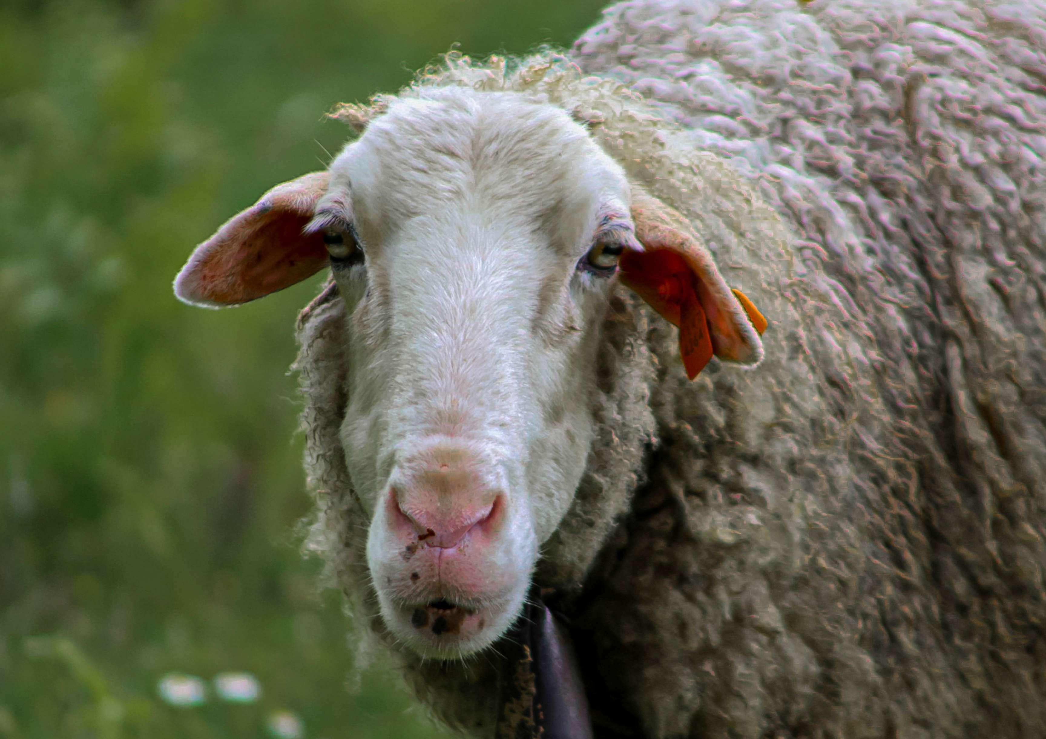 KEEP THE PRESENT, PROTECT THE FUTURE by multimedia aevo - Issuu