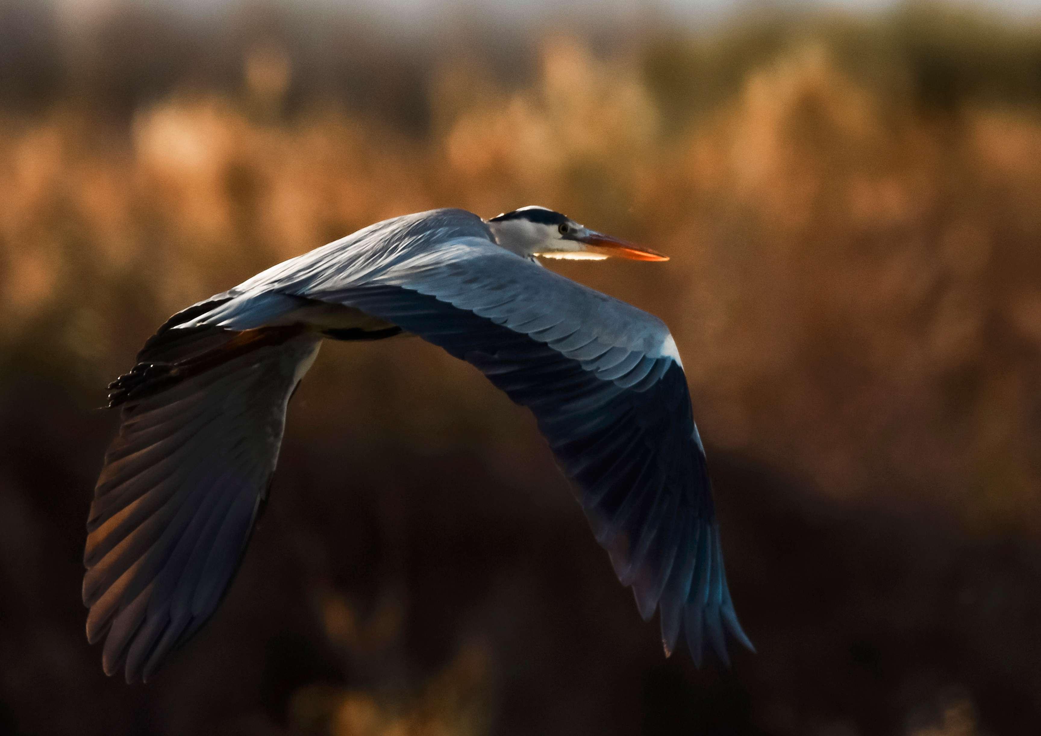 KEEP THE PRESENT, PROTECT THE FUTURE by multimedia aevo - Issuu