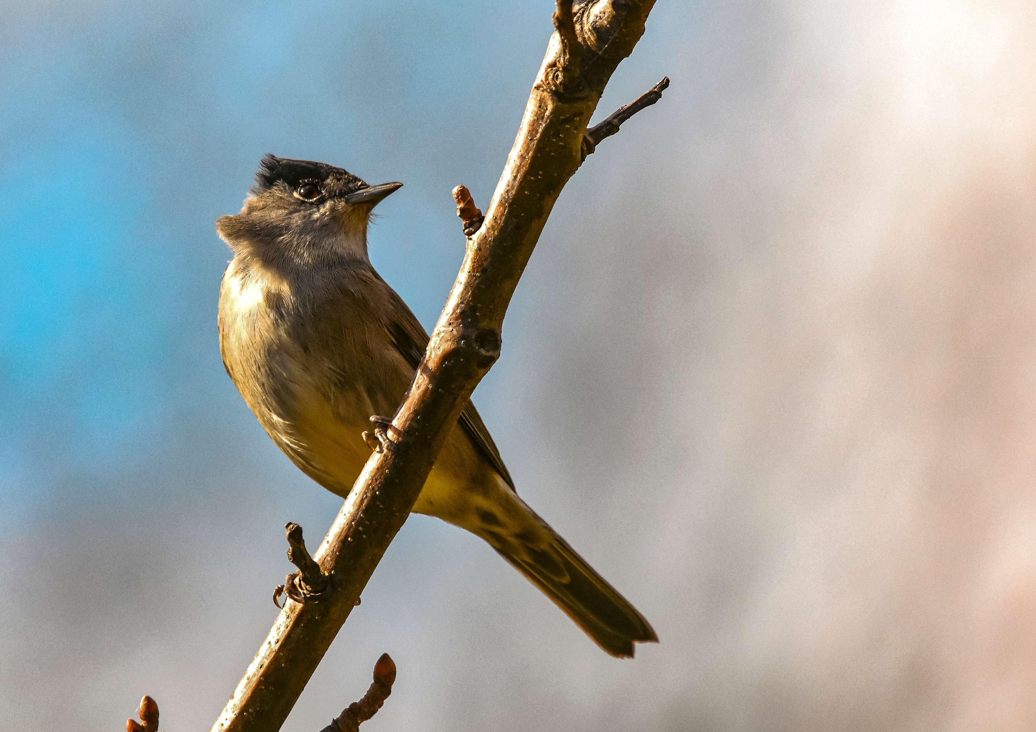 KEEP THE PRESENT, PROTECT THE FUTURE by multimedia aevo - Issuu