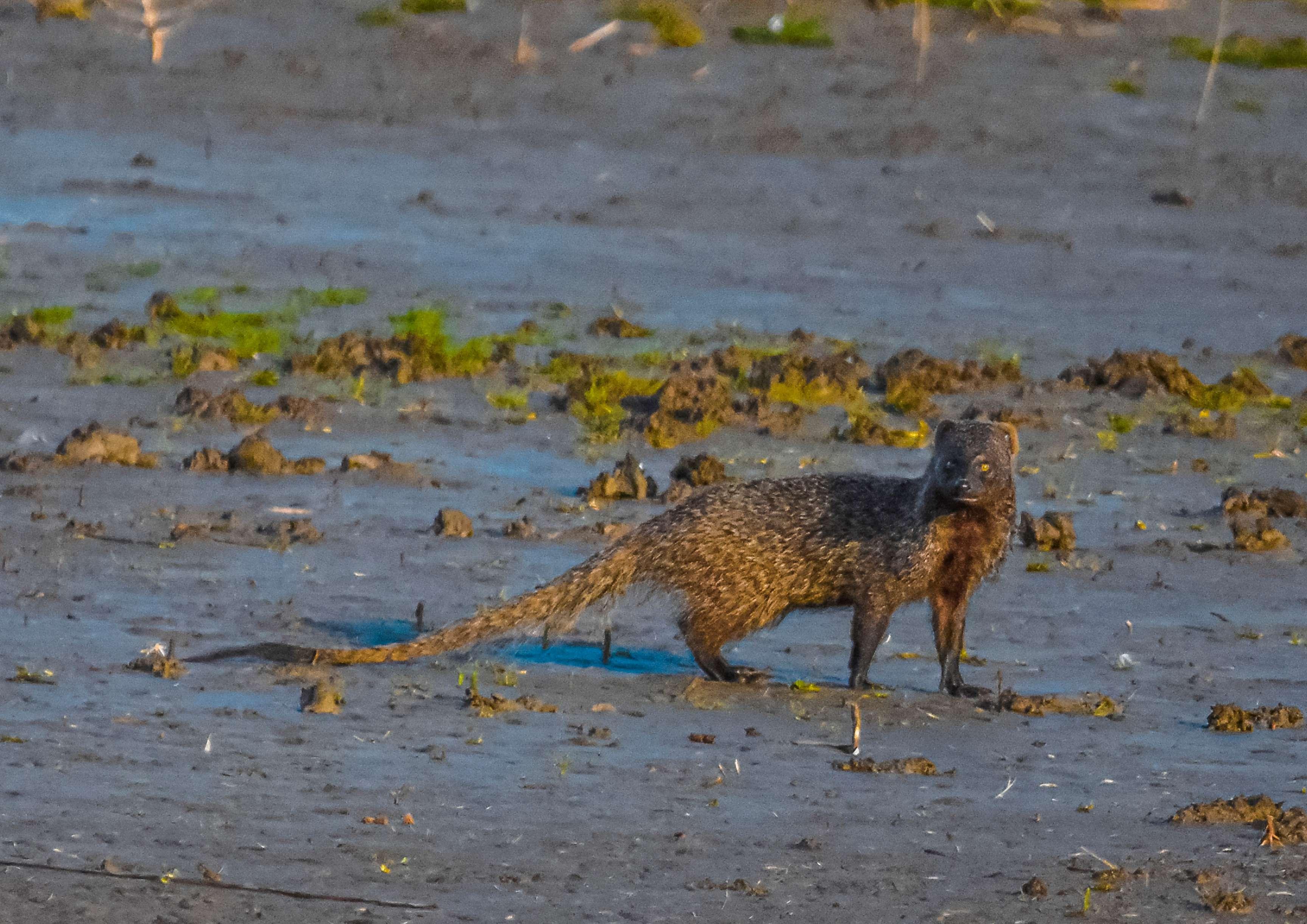 KEEP THE PRESENT, PROTECT THE FUTURE by multimedia aevo - Issuu