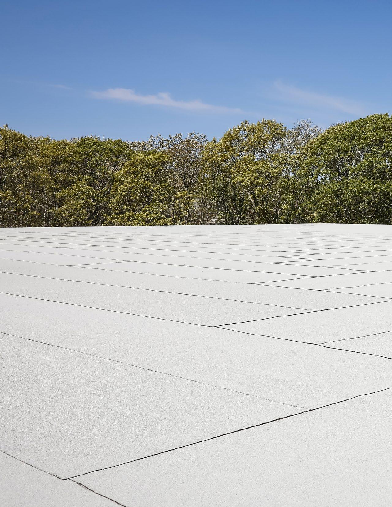 Polyglass Technical Guide by polyglassUSA - Issuu