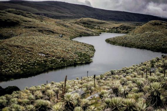 CARTILLA RECORRIDO RIO FUCHA by CAROL LISSETH BARRETO GUTIERREZ - Issuu