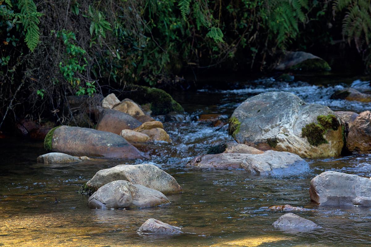 CARTILLA RECORRIDO RIO FUCHA by CAROL LISSETH BARRETO GUTIERREZ - Issuu