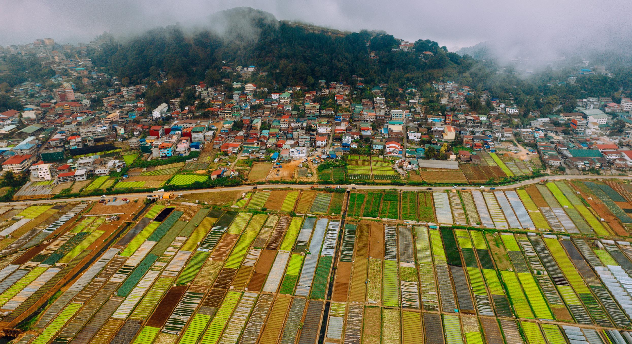 Environmental and Social Risk Management Guidelines by Alliance for ...