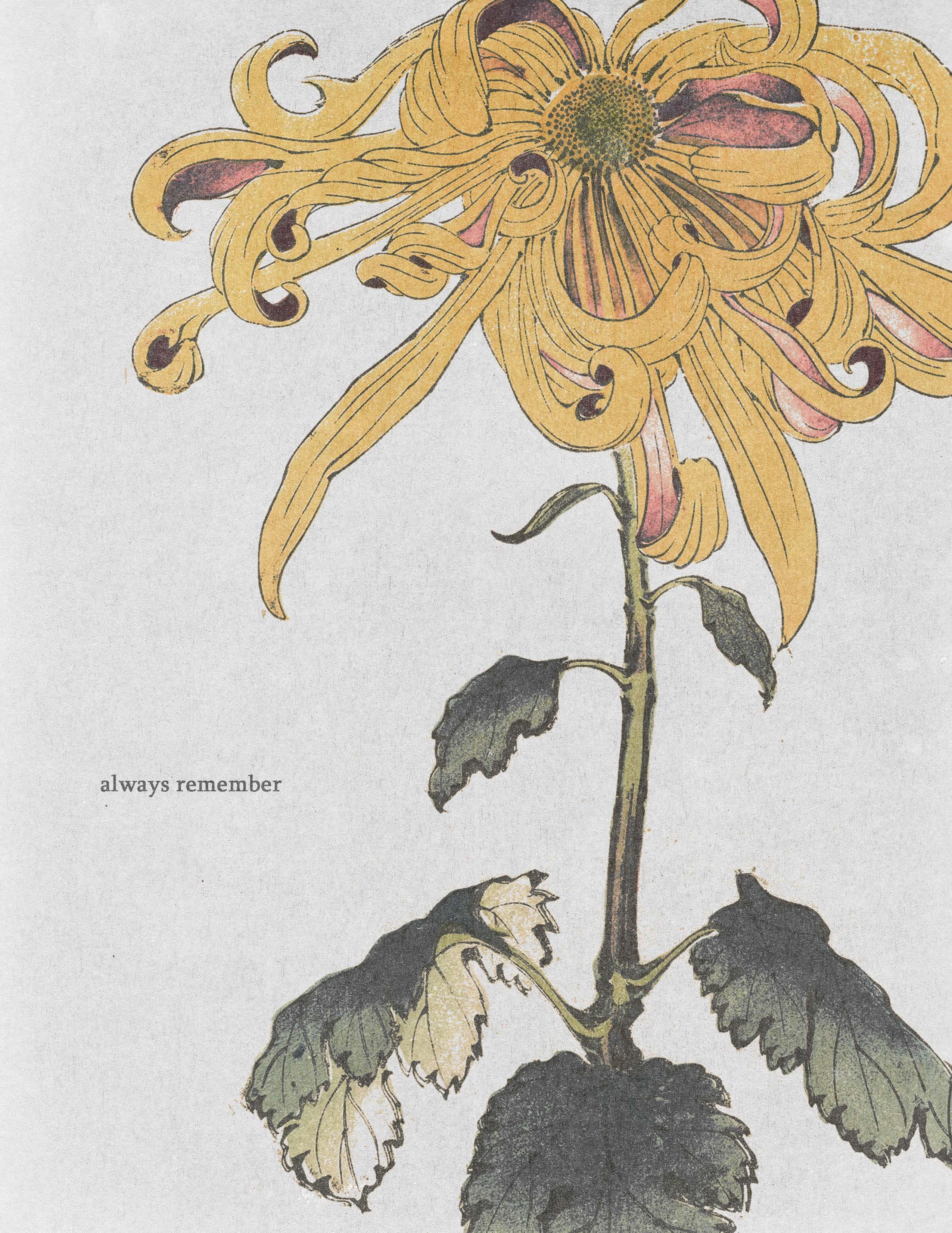 Solace Design Book by Dandre Collera - Issuu