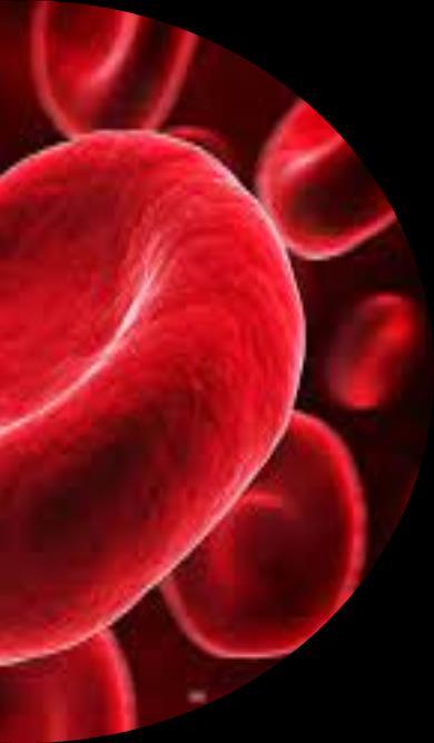 Producto Integrador de Aprendizaje de Biología en la Salud Equipo 3 ...