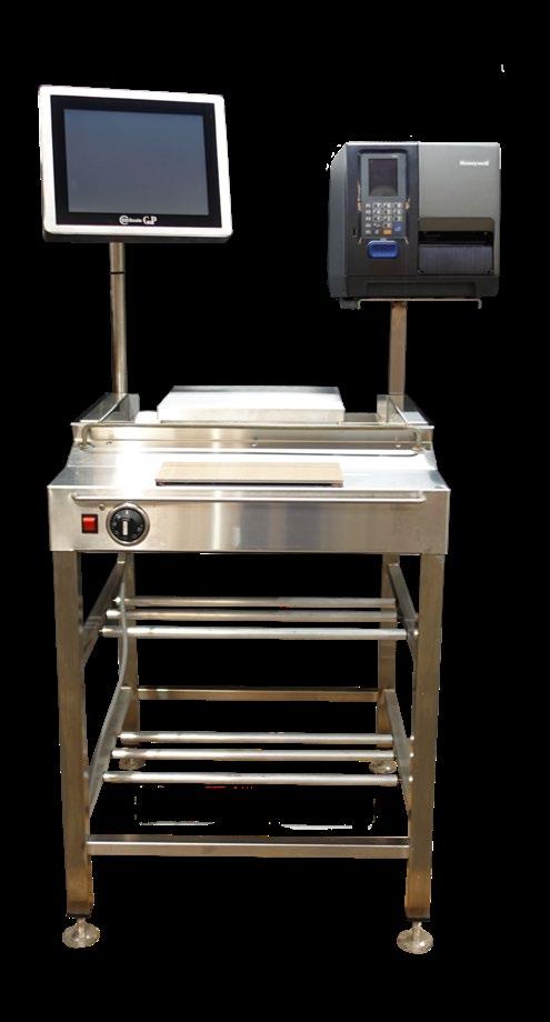 NG1 Ezi Scale Brochure GaP Solutions by GaP Solutions - Issuu