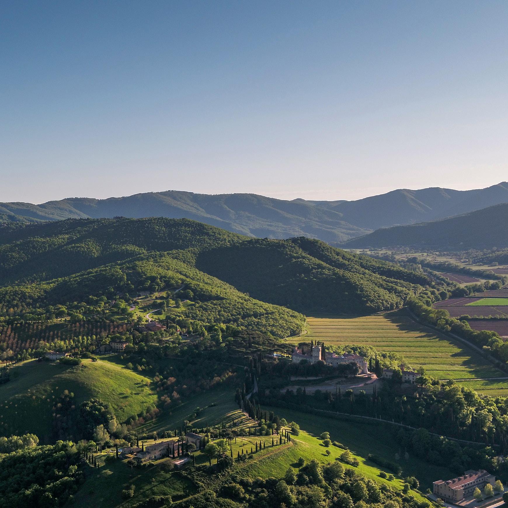 Tisciano - Reschio Estate by Reschio Estate - Issuu