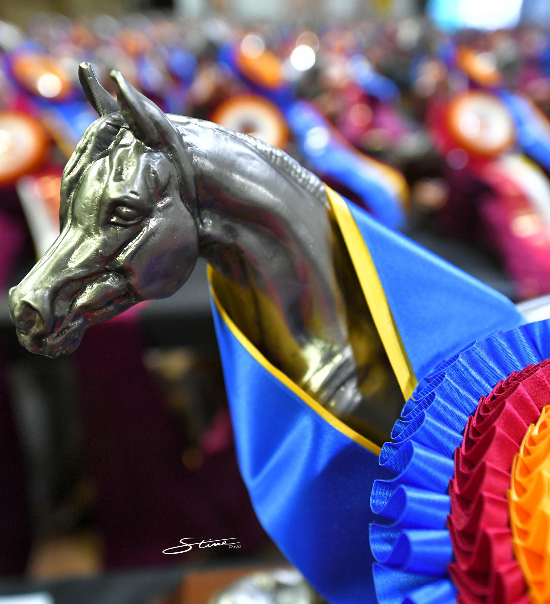 Arabian Horse Association Omnibus, April 2023 by Arabian Horse ...